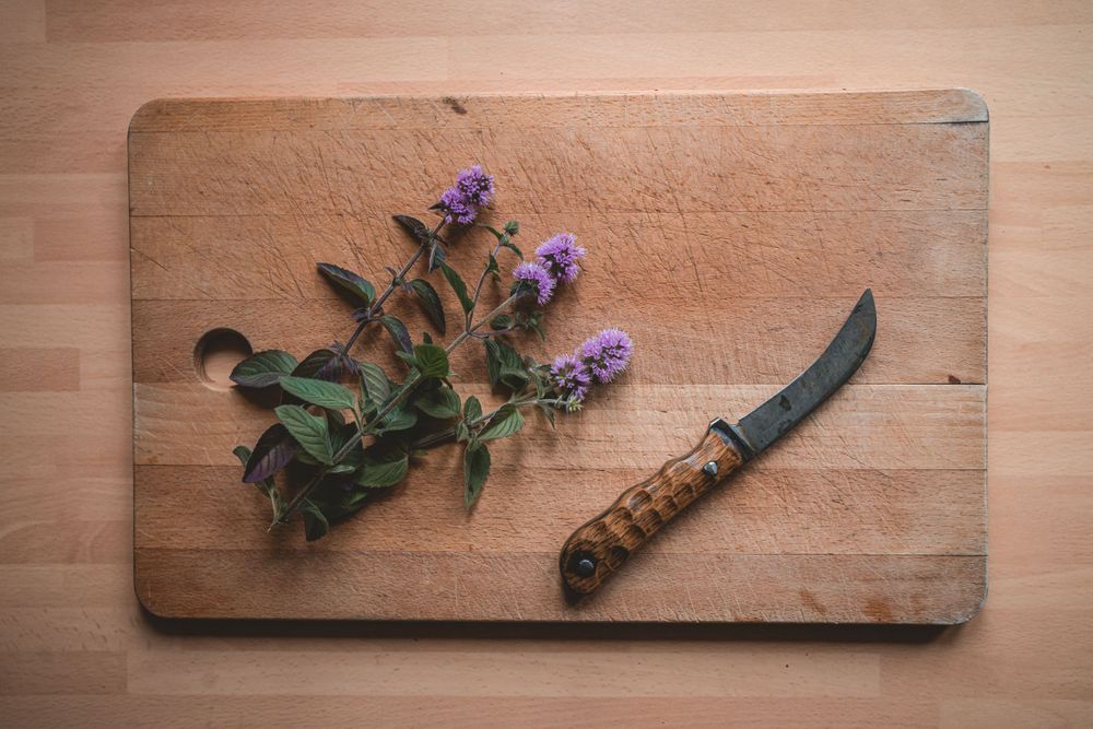 Foraging Equipment Essentials - The Grizzly Forager: The Definitive ...