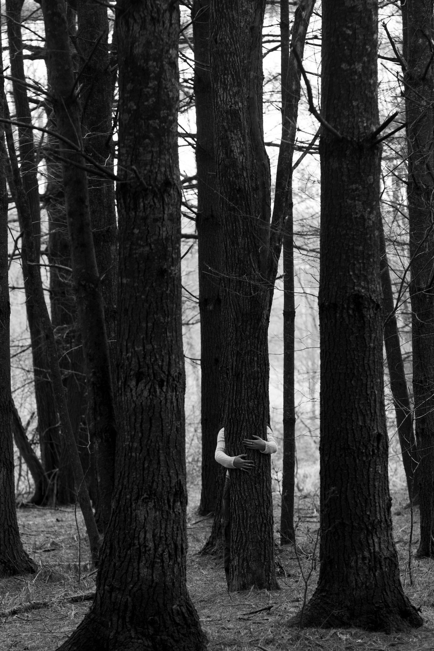 Professional Portfolio - Gracie Hall Visuals