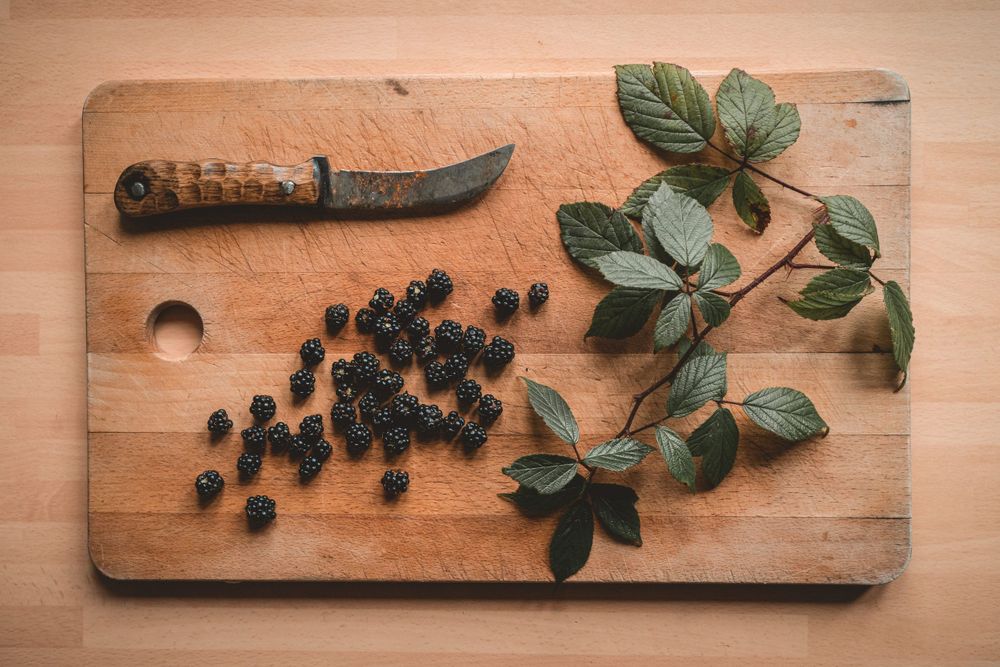 The Blackberry - The Grizzly Forager: The Definitive Guide to Foraging ...