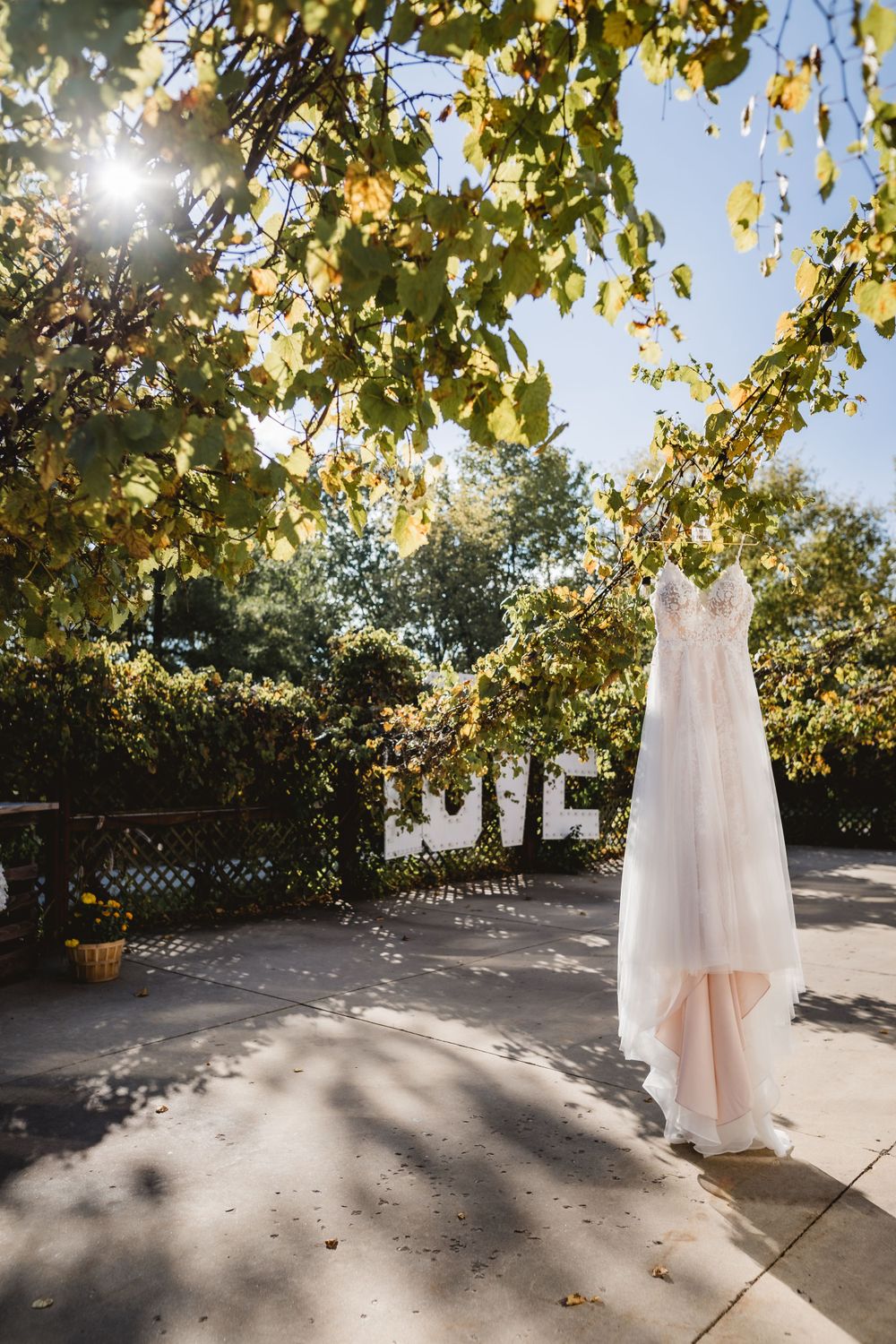 Adam + Ronni's Wedding at Stein Farms in Salem, Wisconsin - Sara ...