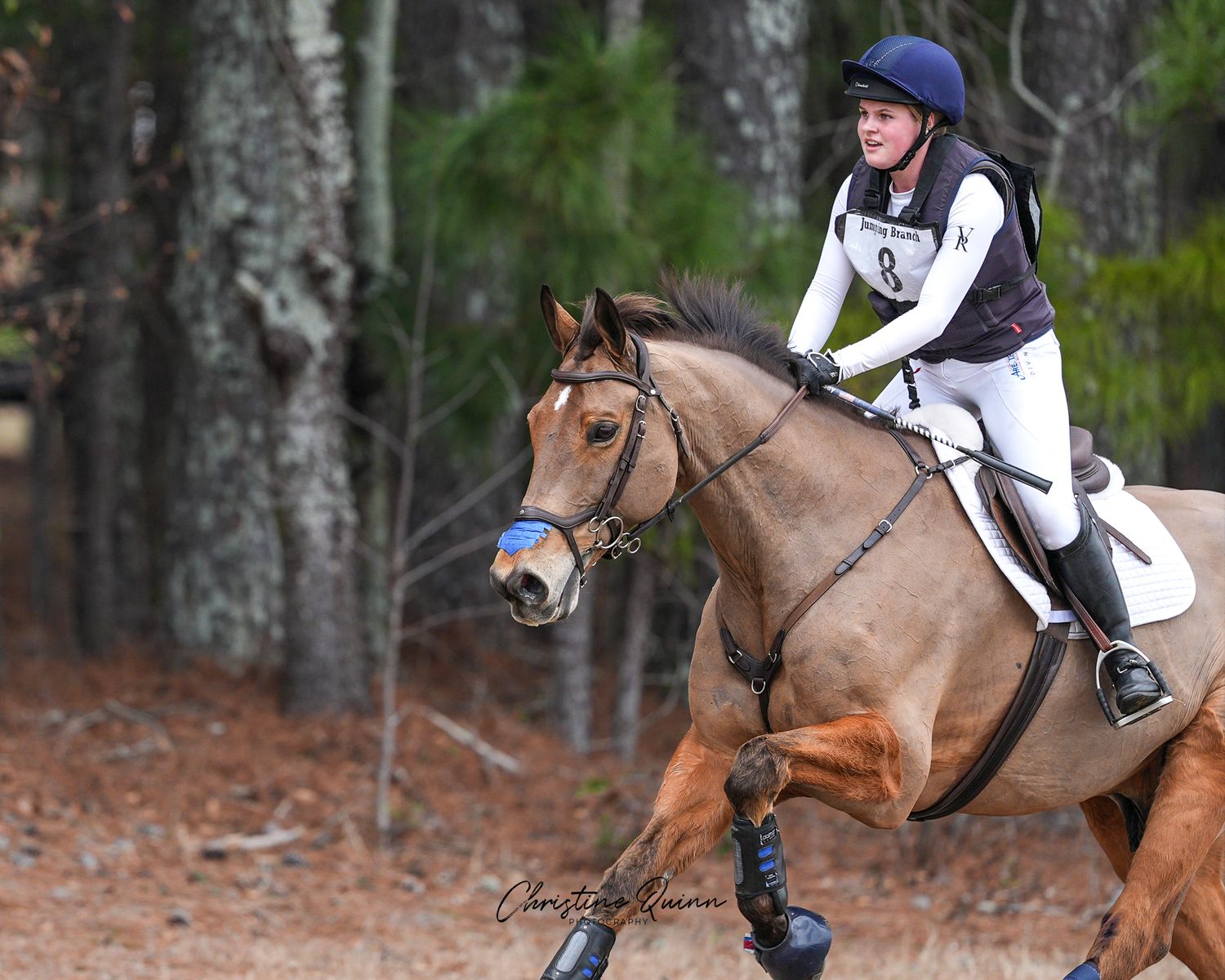 February Jumping Branch Farm HT - Christine Quinn Photography