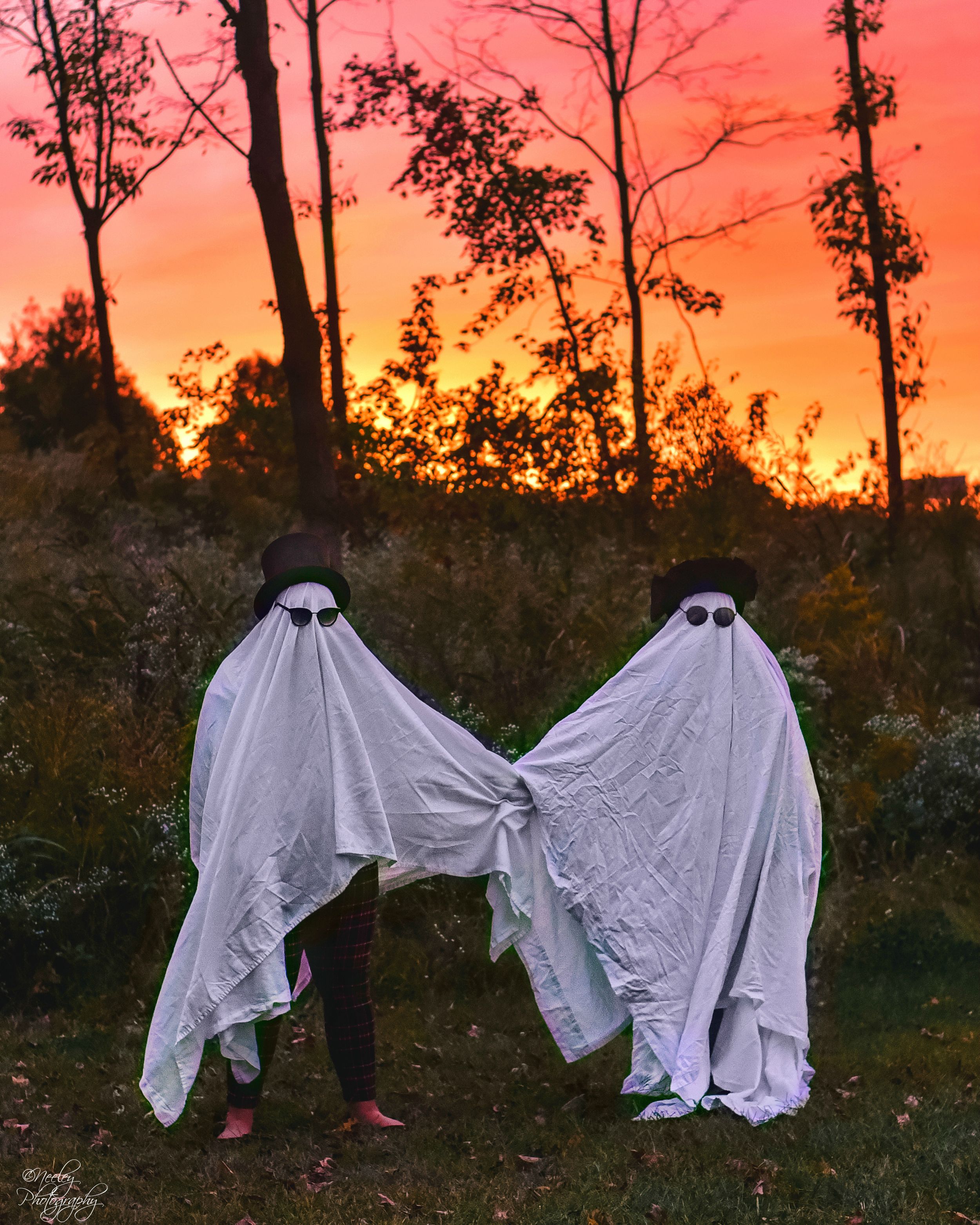 Halloween Sessions - Neeley Photography