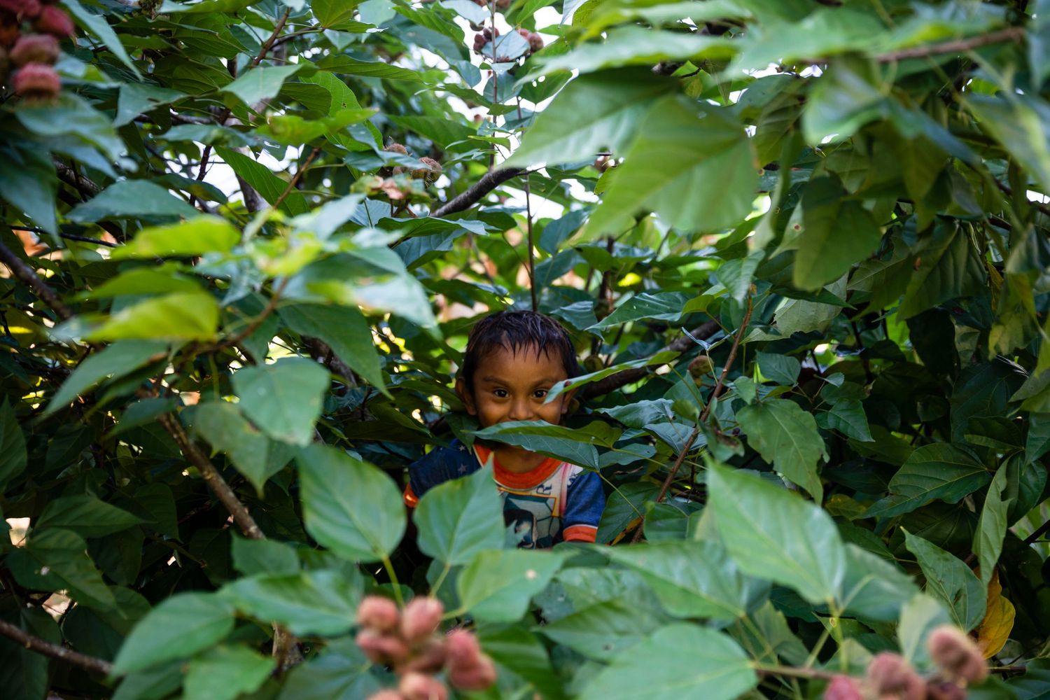 Retrato - Jesús Almazán