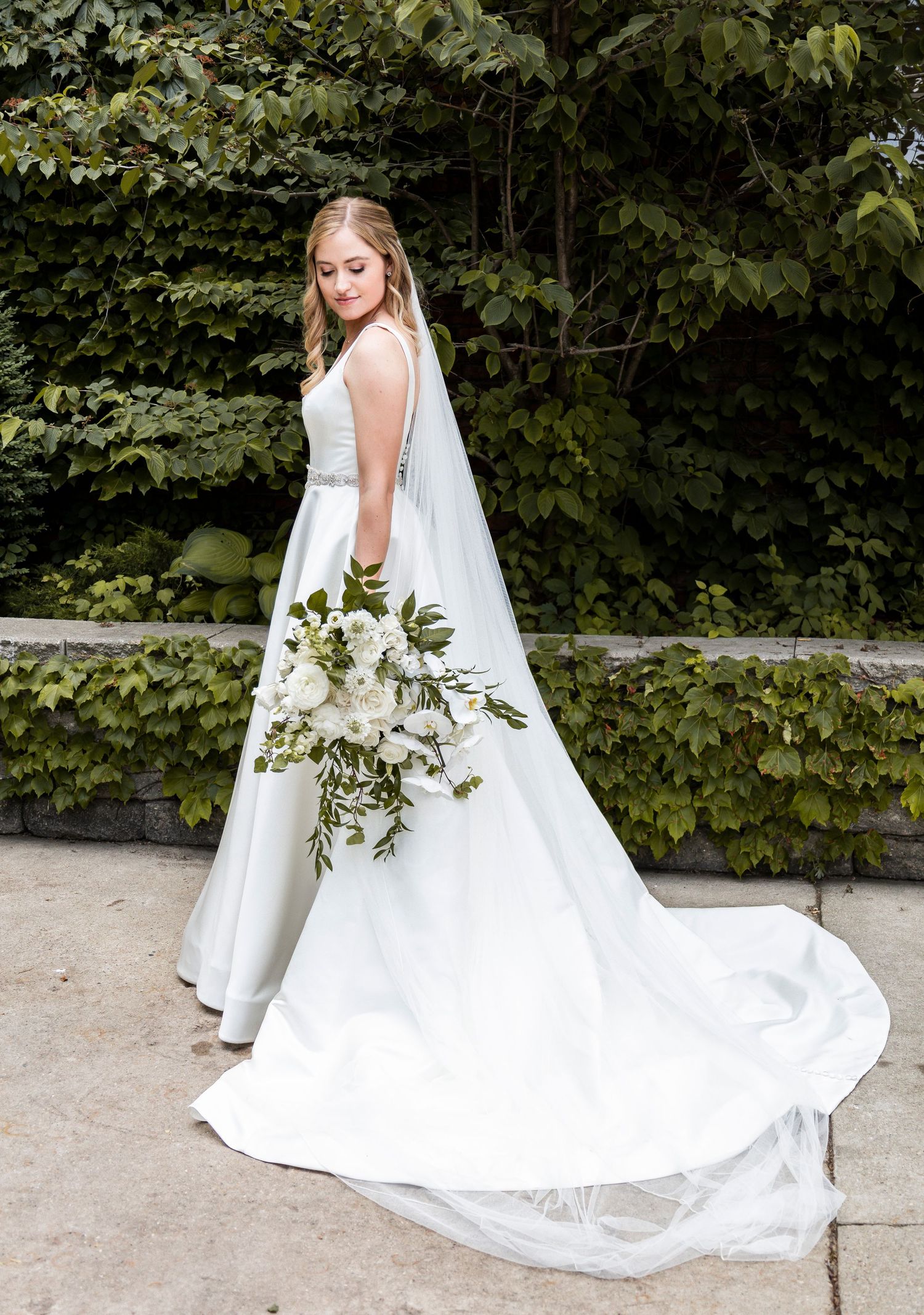 Pearl - Ward 3 Media