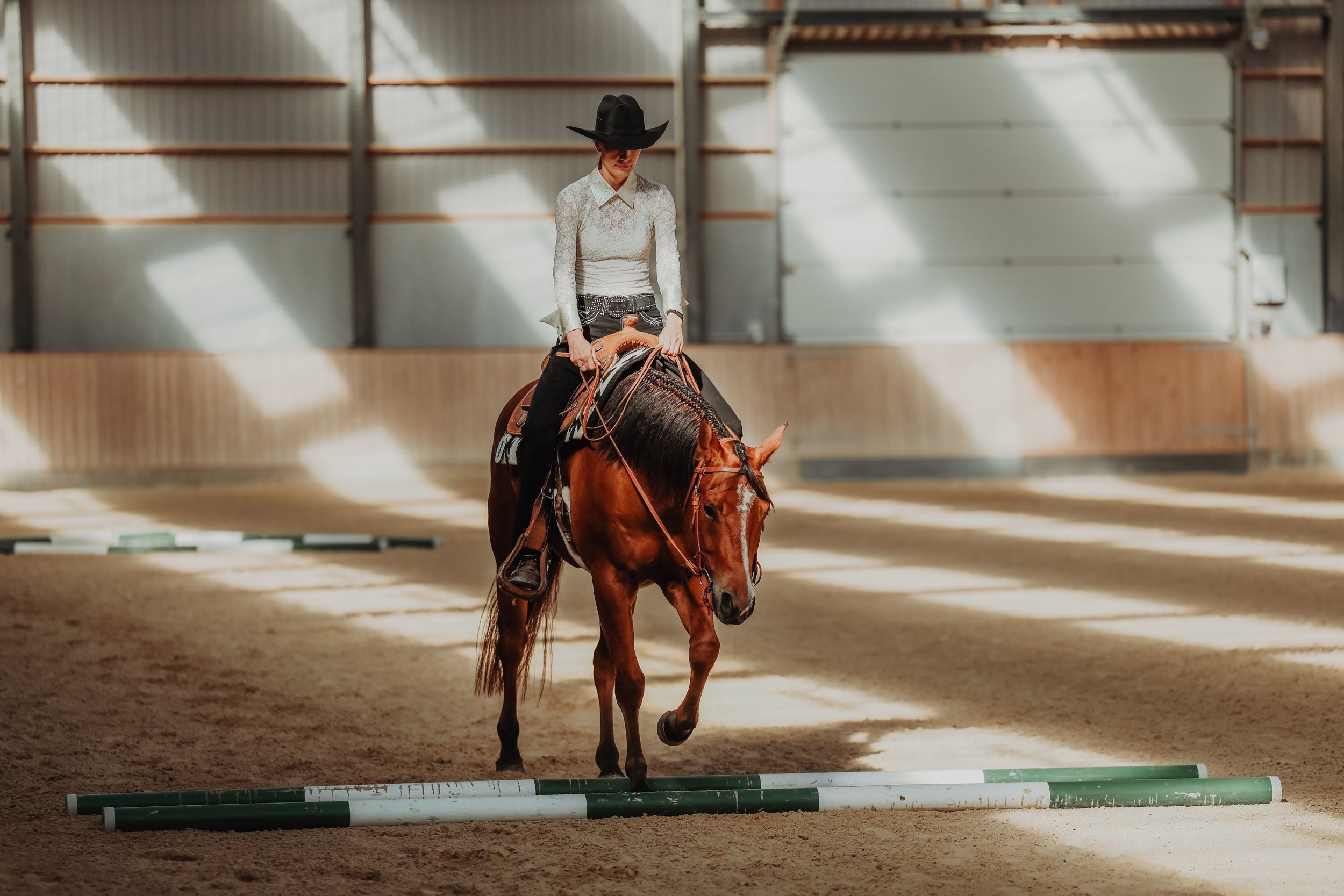 Dive with me into the western riding world - Anna Archinger | Horse ...