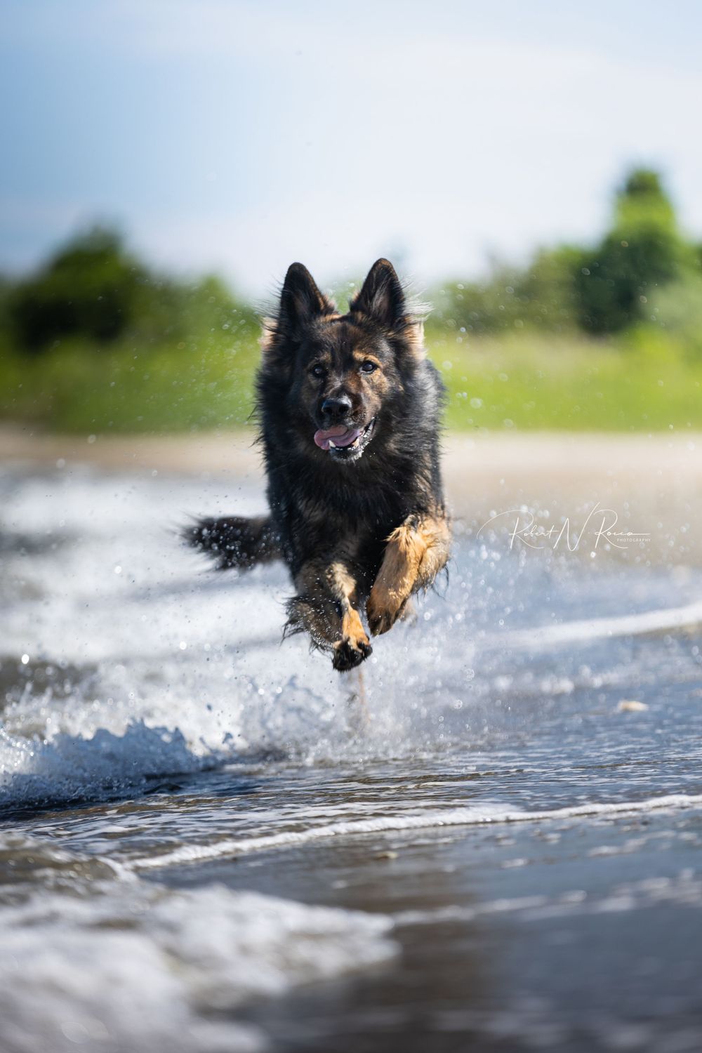 R.N. Rocco Photography