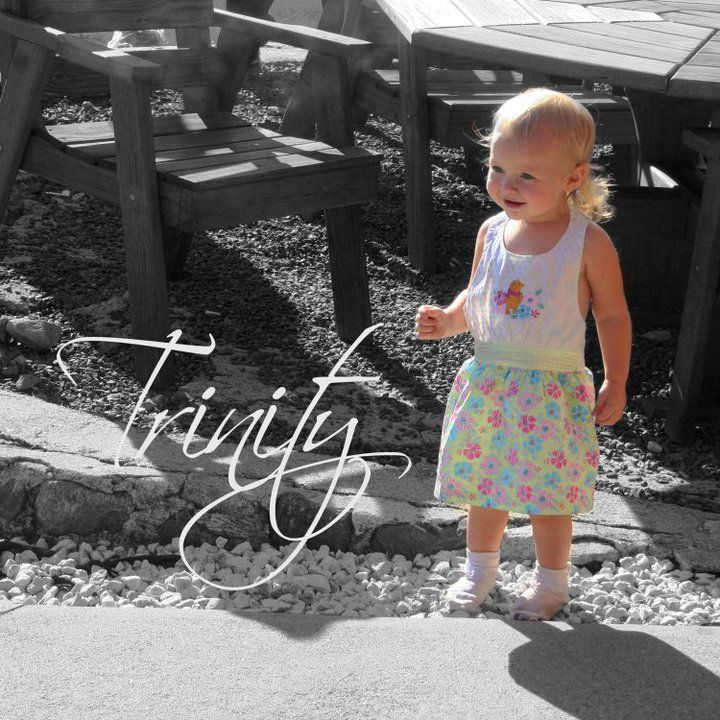 Investment - Renaissance Studio