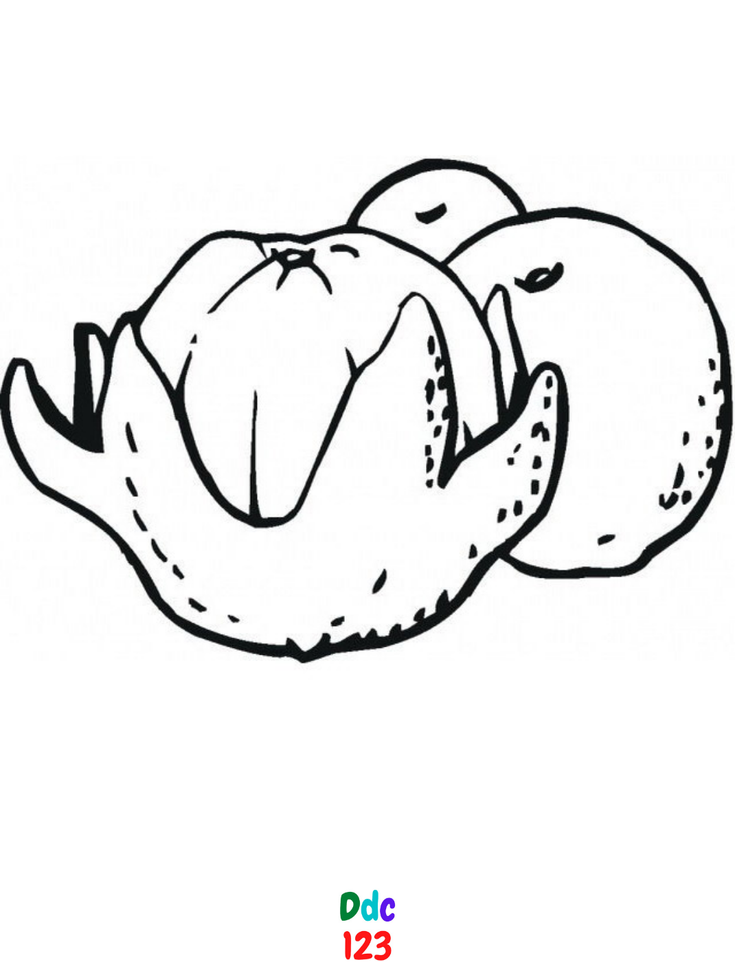 Arancia da colorare - Disegni da colorare stampabili per bambini - DDC123