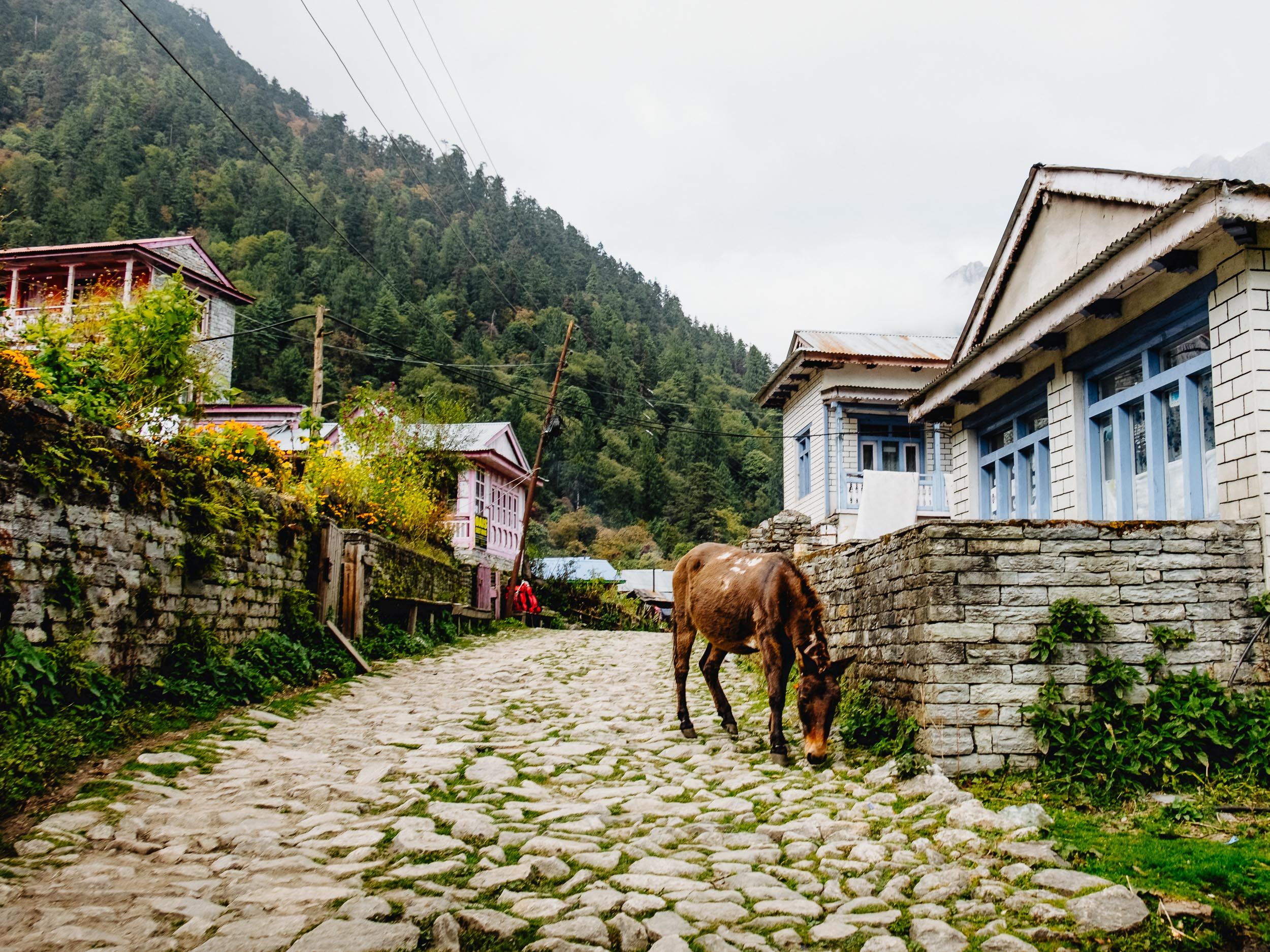 The Annapurna Circuit Day 4 - Dharapani to Chame - Photography by ...