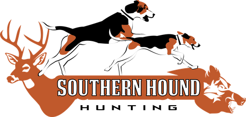 South Carolina Dog Photographer-Southern Sound Photography