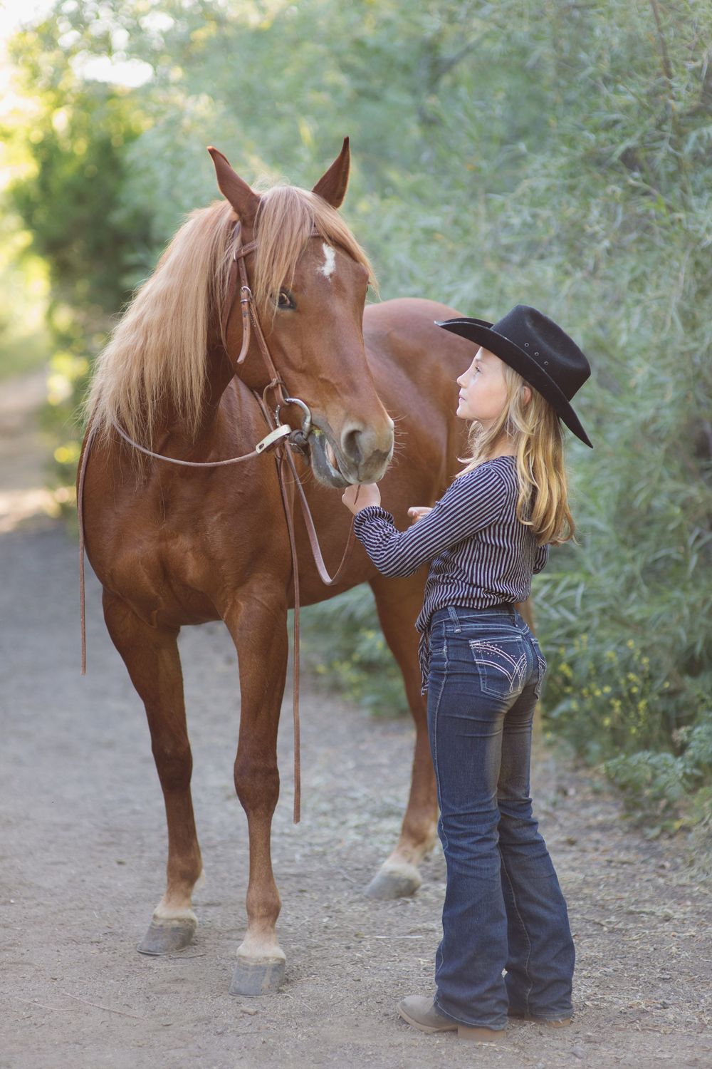 Lisa Roah Photography