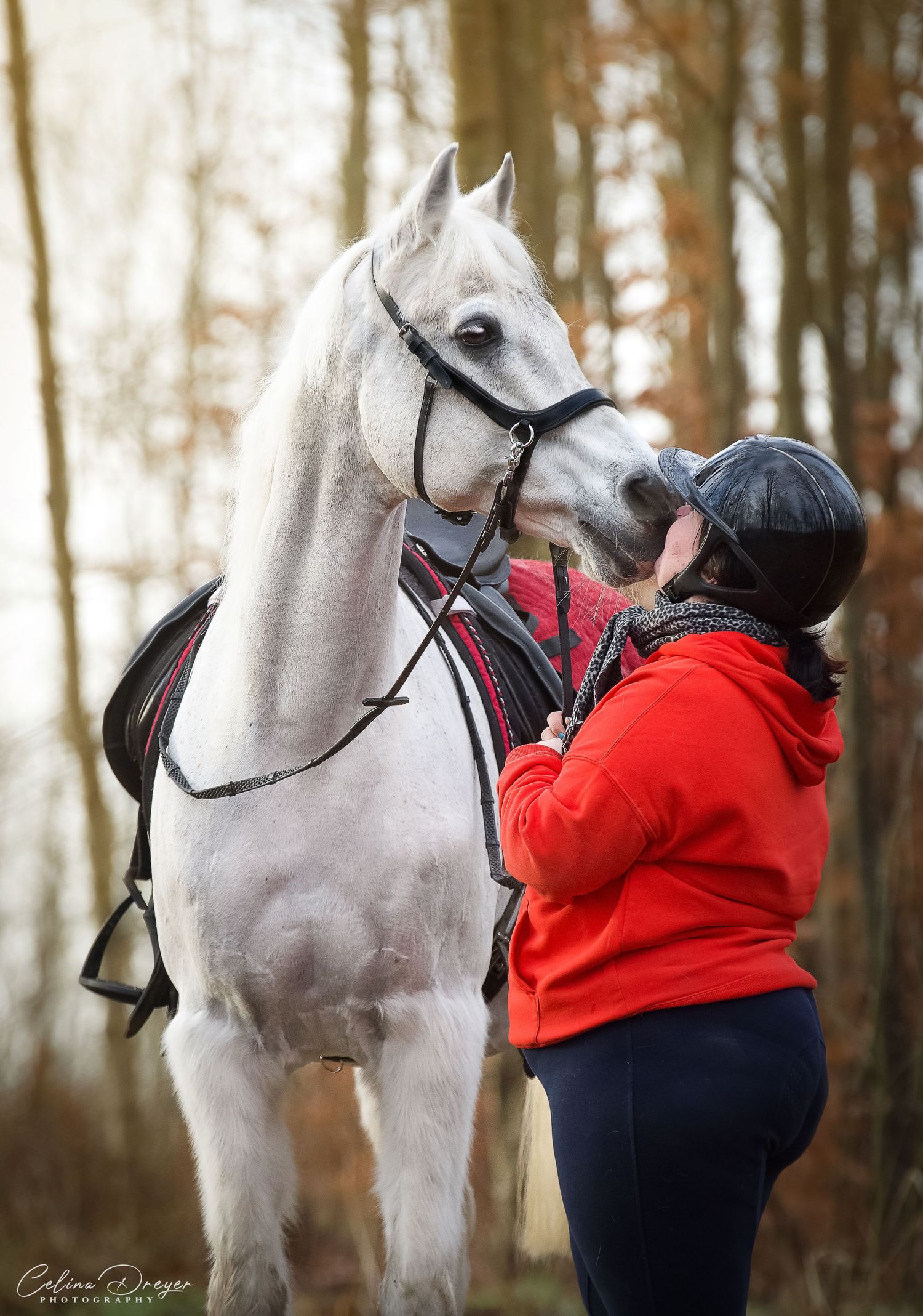 Heste - Celina Dreyer Photography