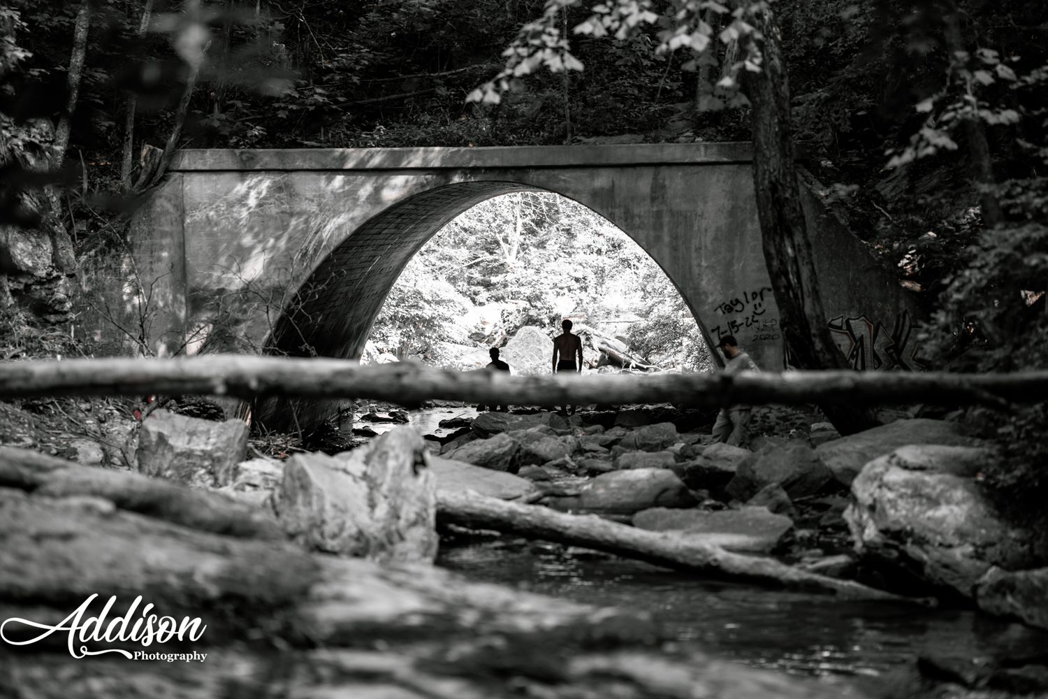 FAQ - Addison Photography & Events