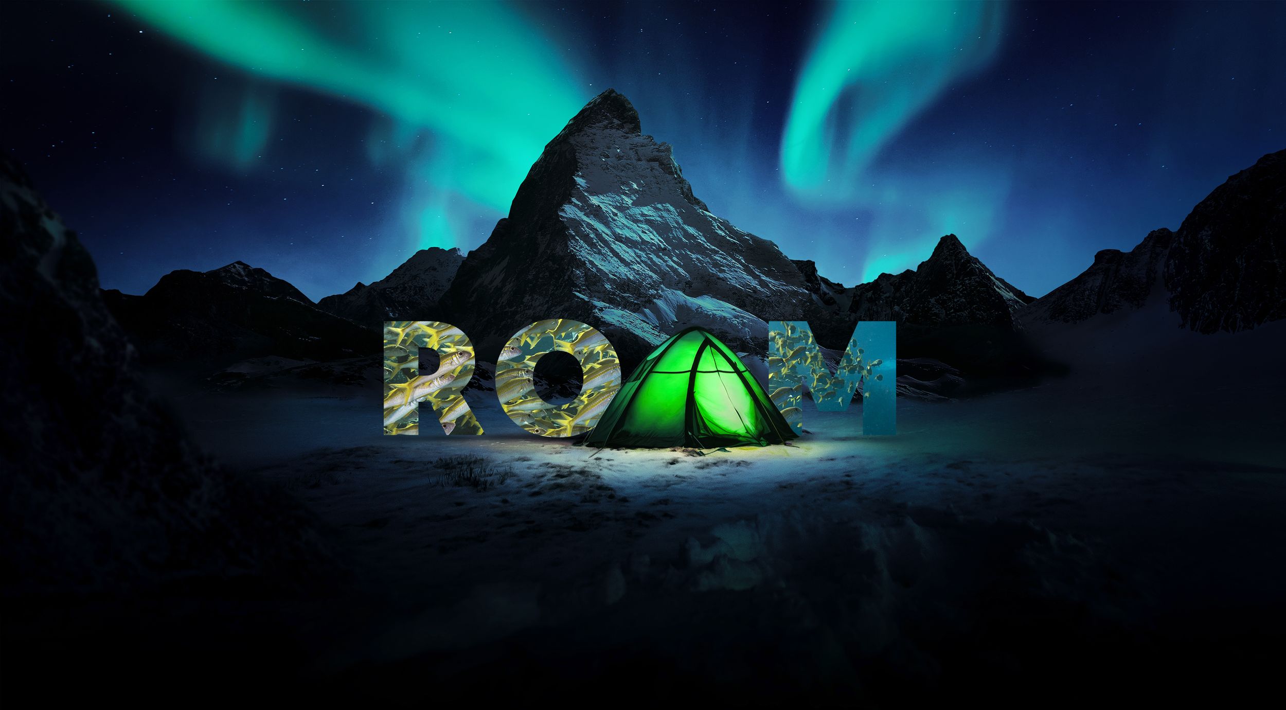 Zach Ransom Photography