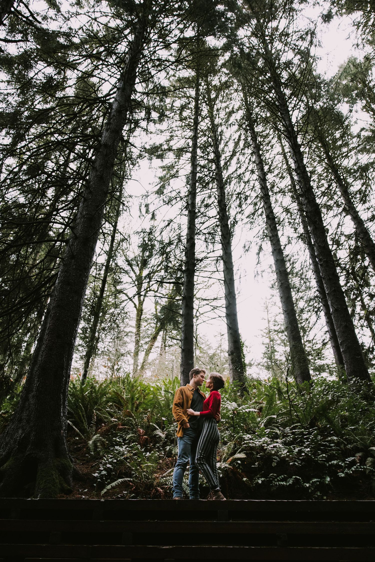 Lizzy & Jared Couple Session | Hoyt Arboretum in Portland, Oregon ...