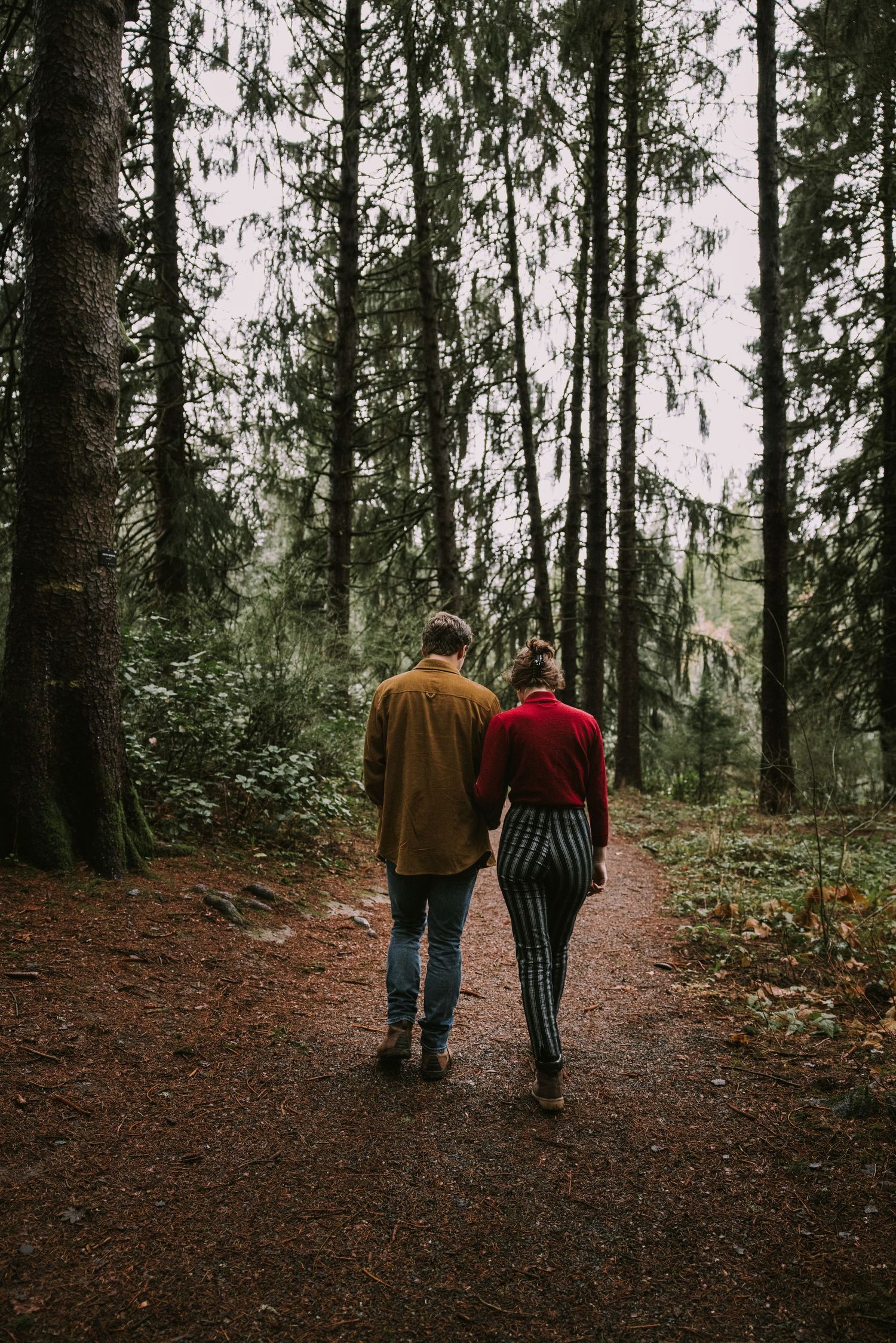 Lizzy & Jared Couple Session | Hoyt Arboretum in Portland, Oregon ...