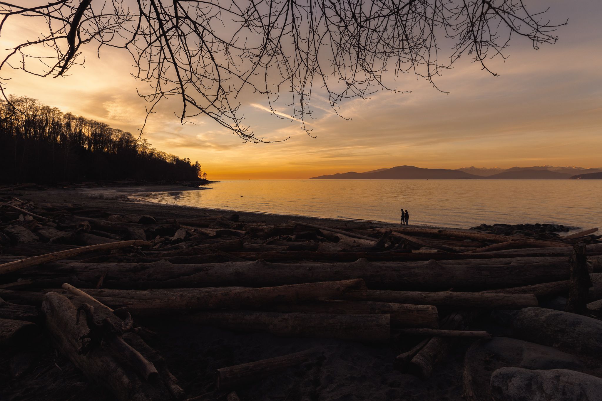 Danielle Gillard Photography