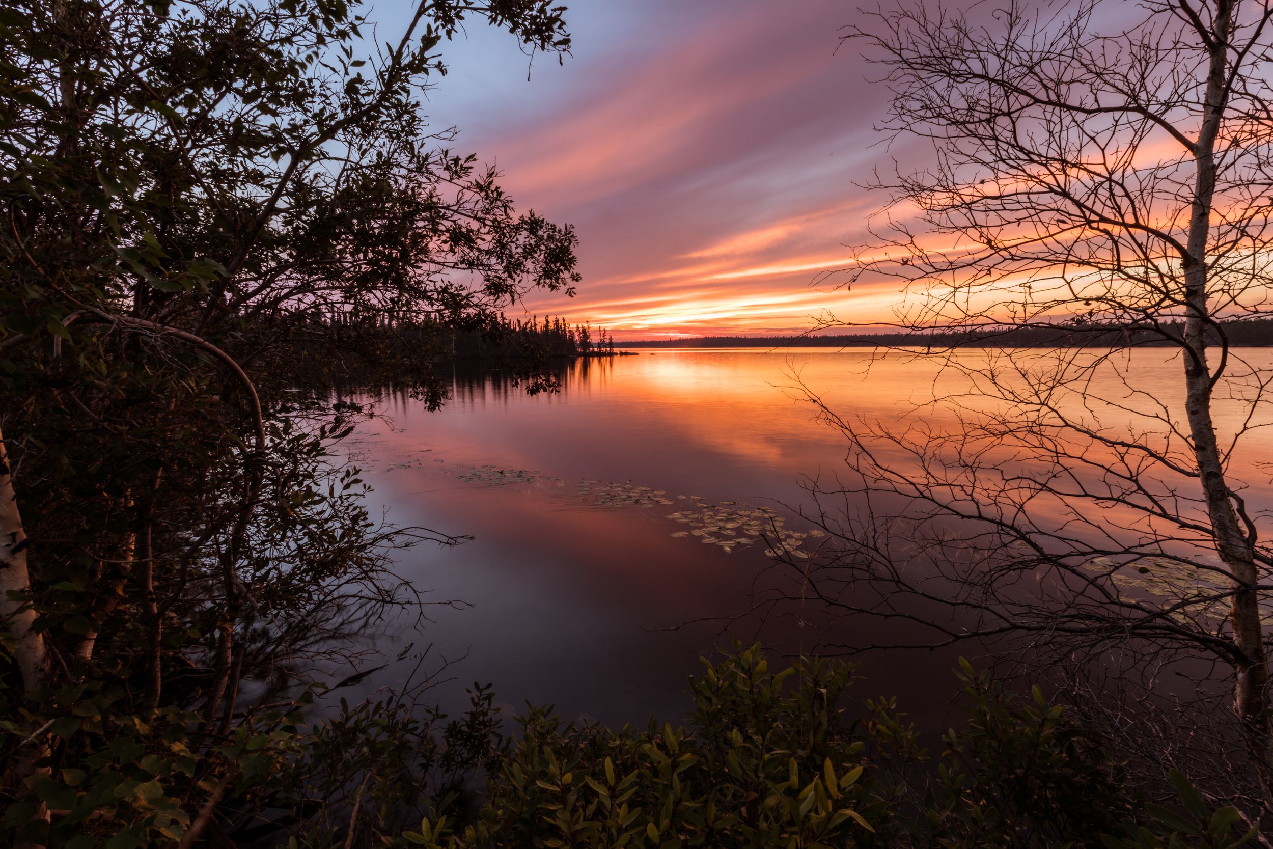 Danielle Gillard Photography