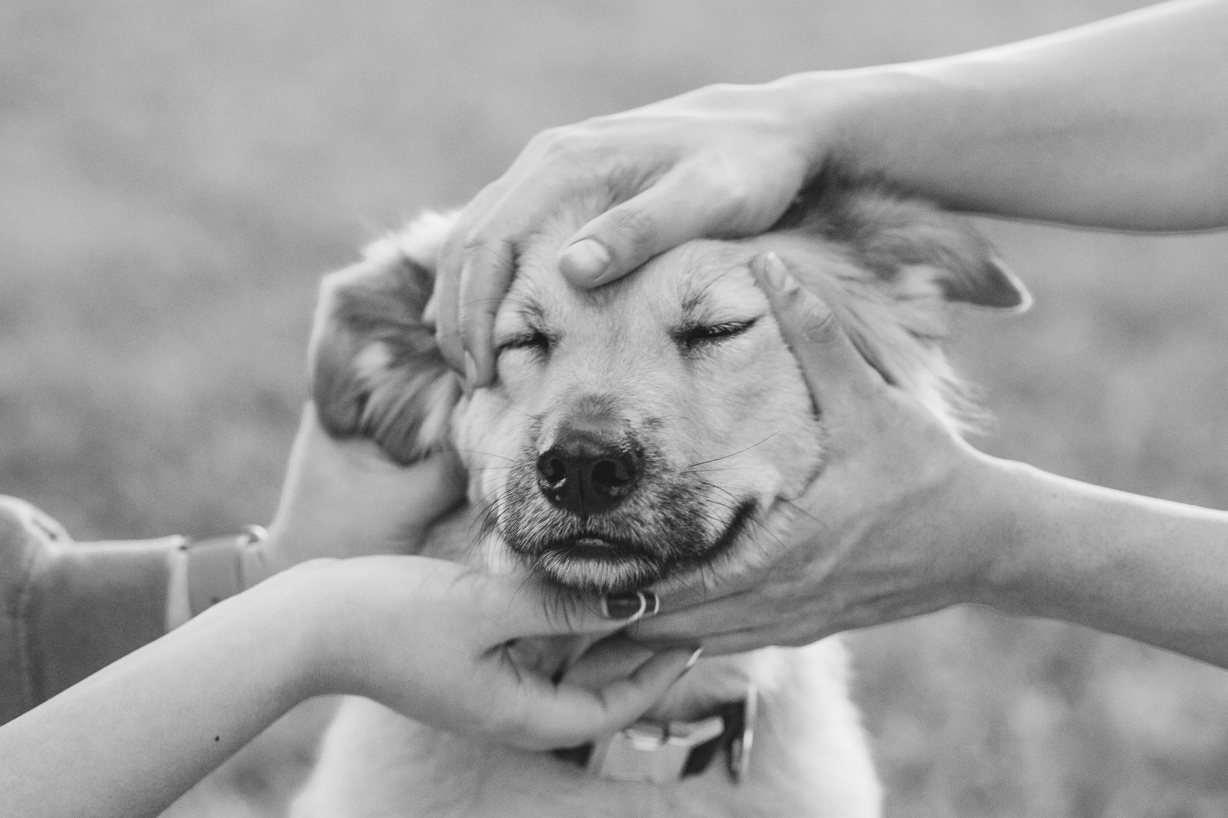 Jessica Ivory Photography