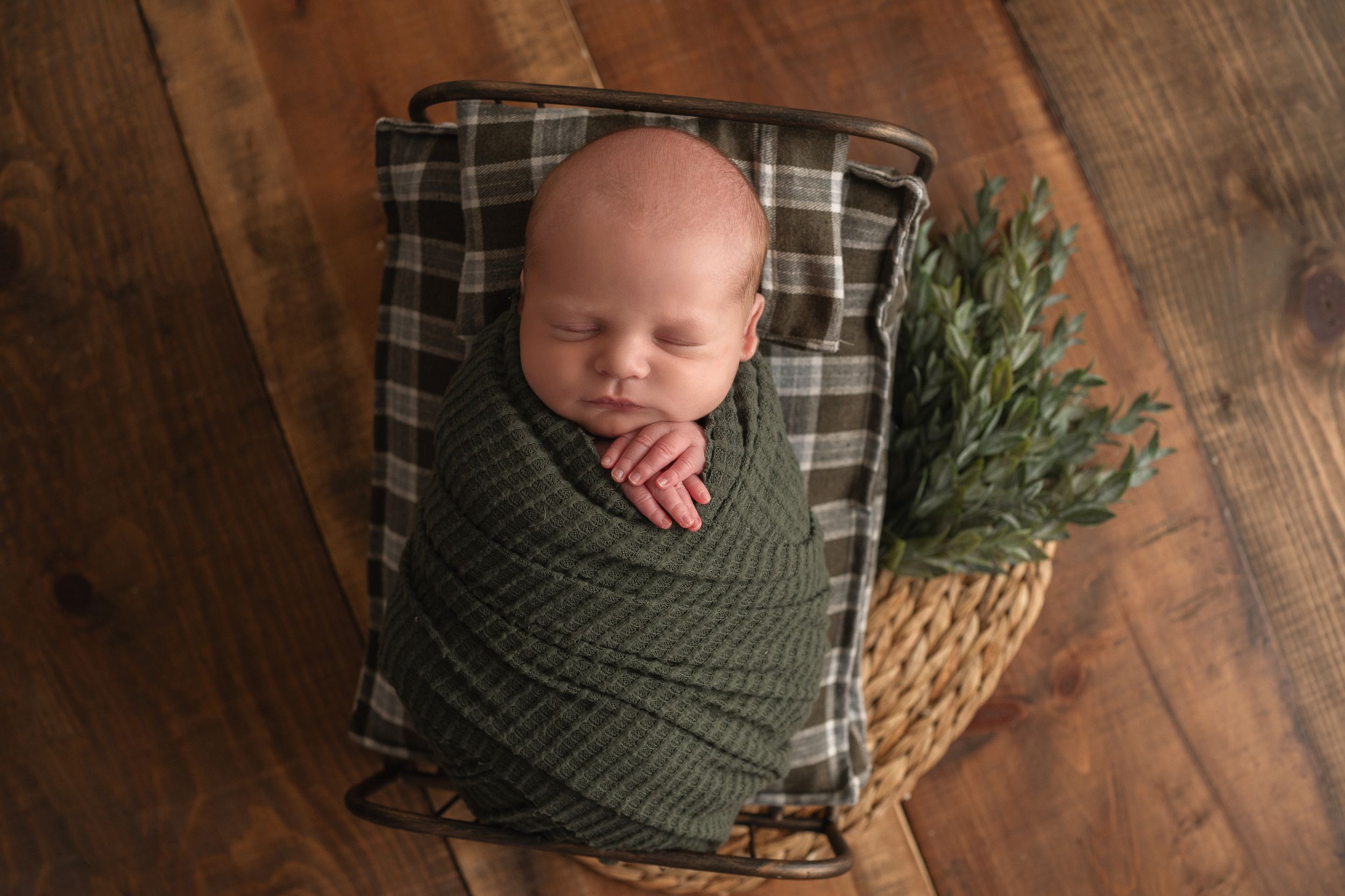 Erica McDonald Photography