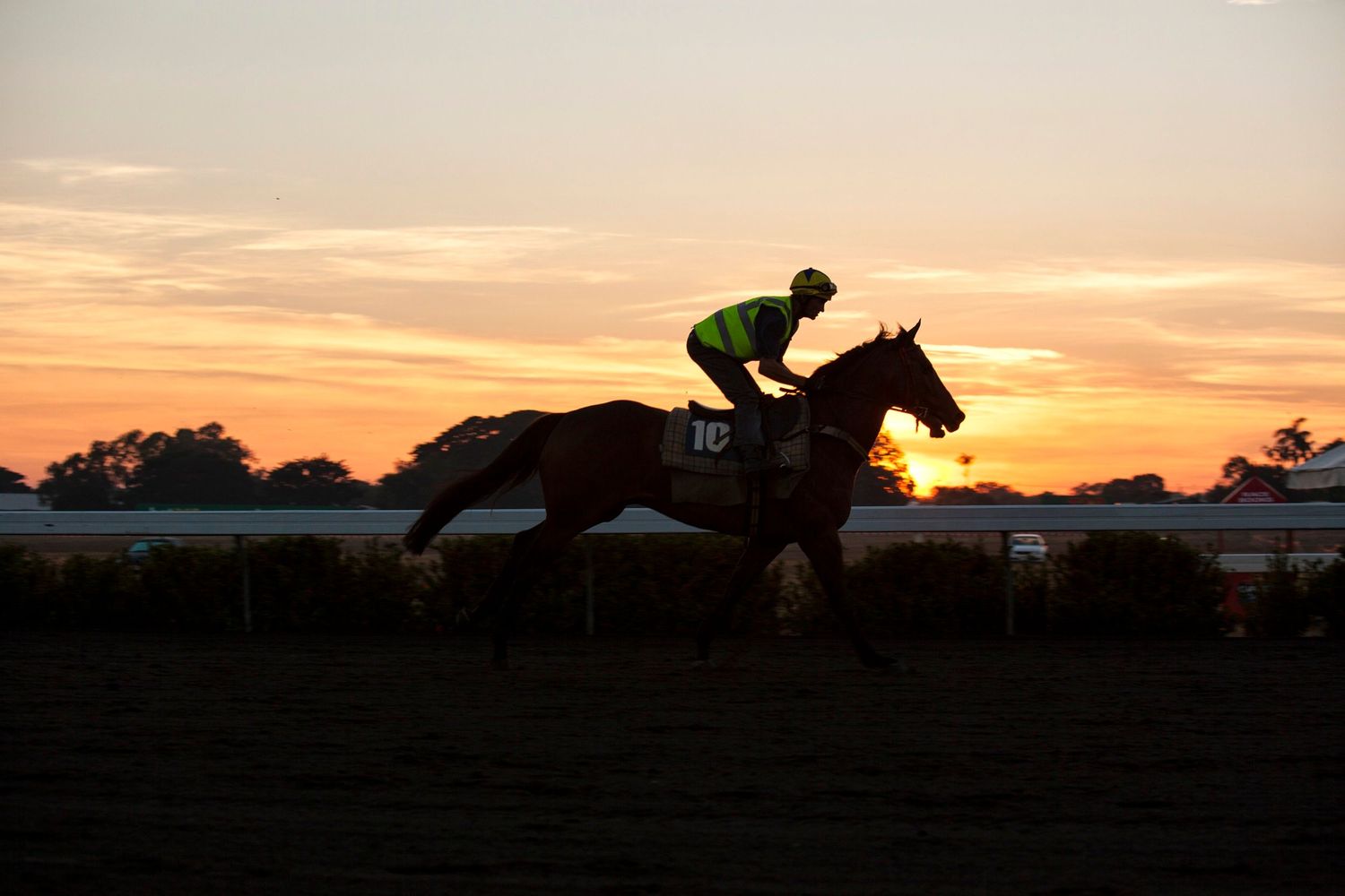 Corporate - GEORGE F Photography