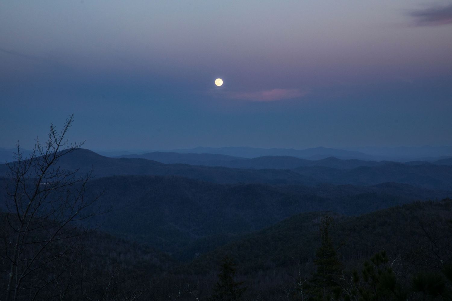 Copy - Jason Shaffer Photography