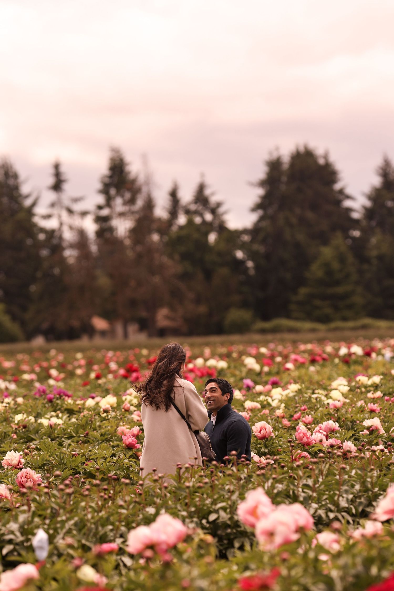 What to Expect at the Adelman Peony Gardens: From a Photographer - Emma ...