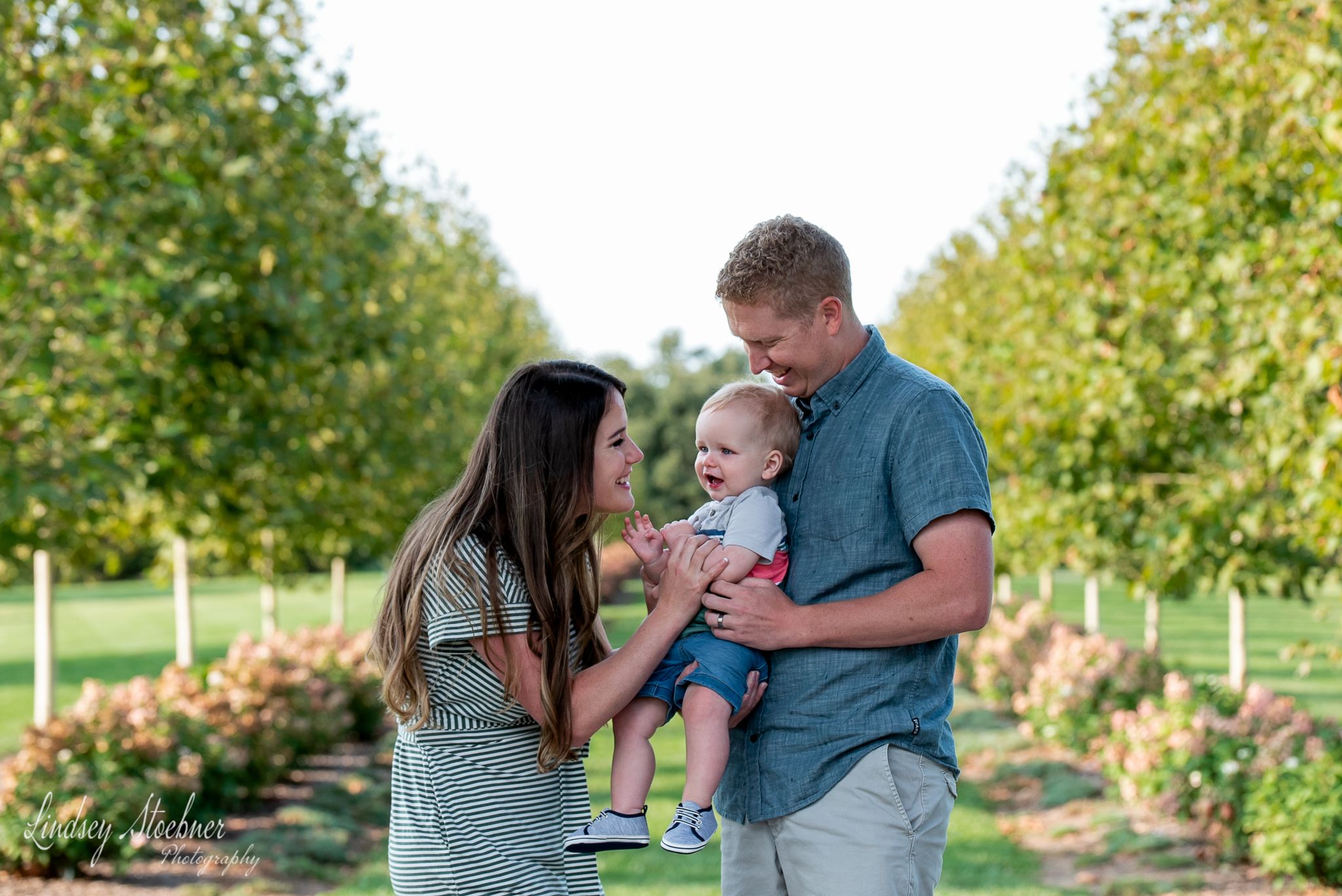 Fall Family Session at Cox Arboretum Fall 2021 - Lindsey Stoebner ...