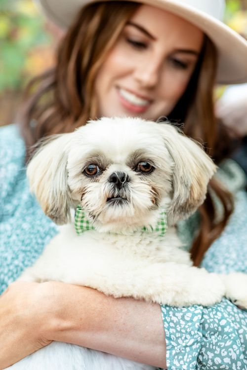 Adorable Couple Fall Session With Fur Babies at Rock Ledge Ranch in ...
