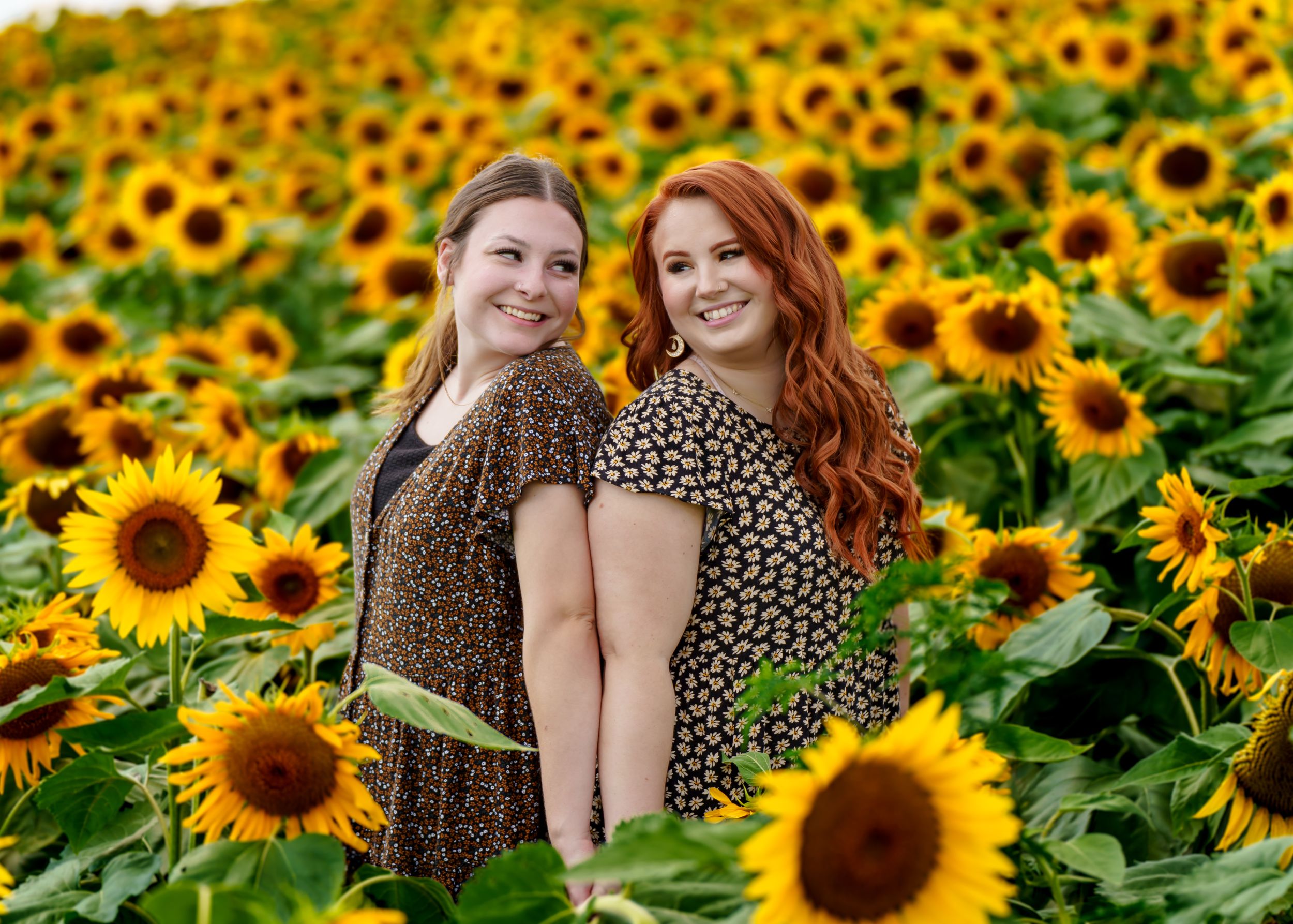 Family Sessions | Investment - SNS Photography, LLC