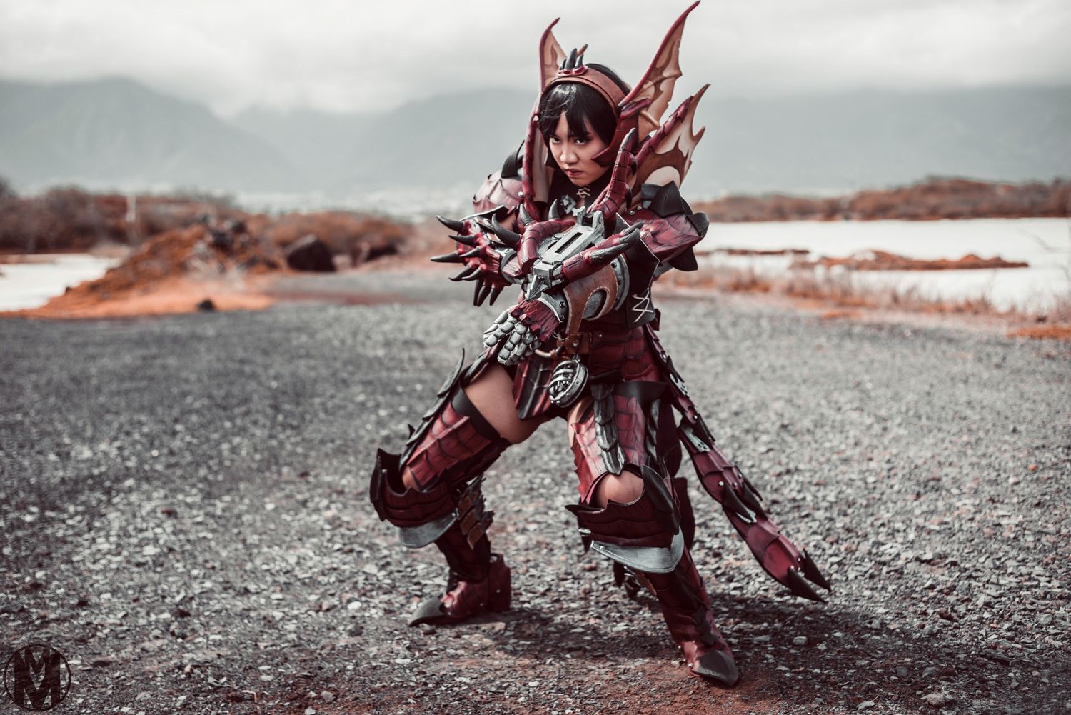 Rathalos Armor Cosplay