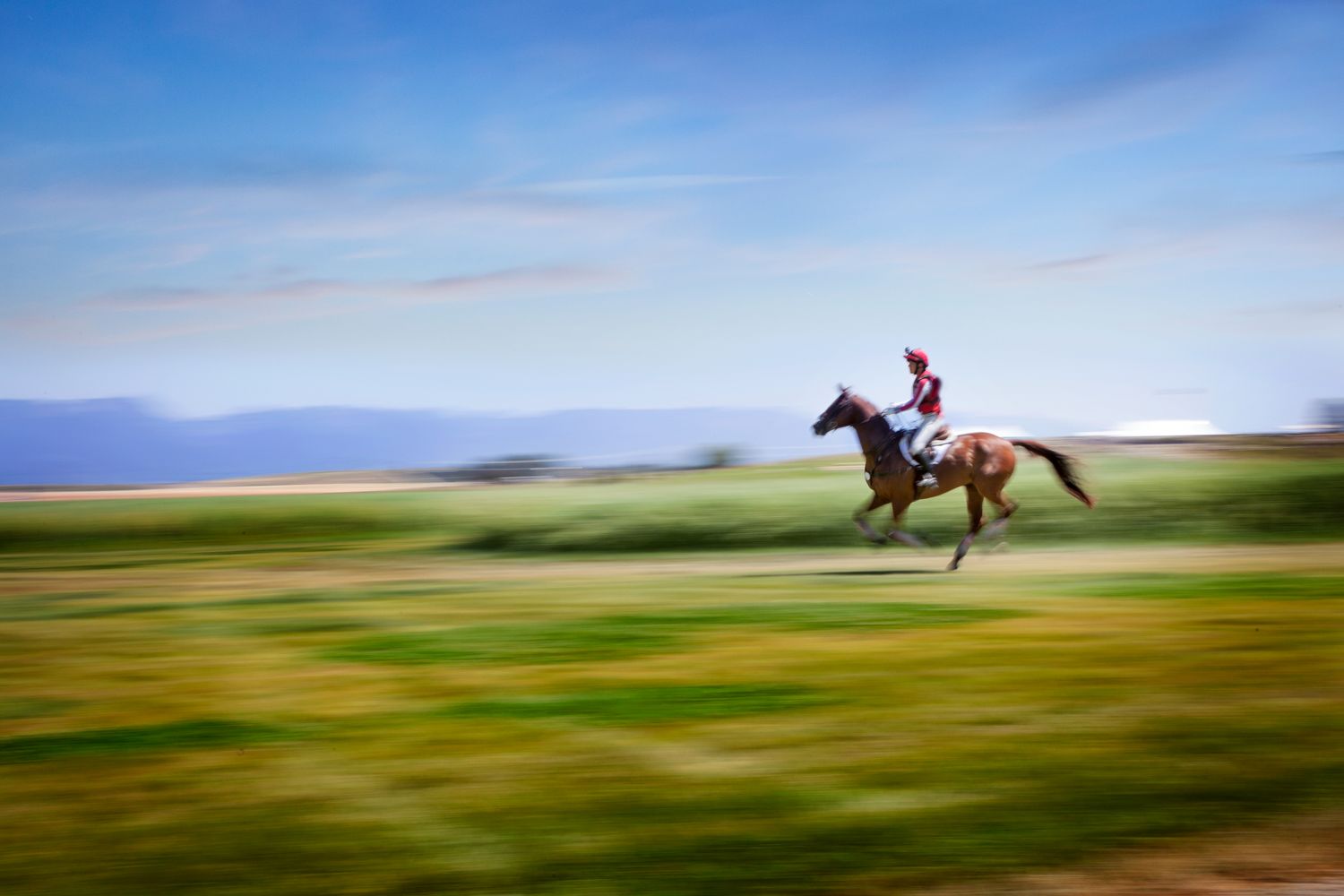 The Event at Rebecca Farm - Lendrum Photography LLC