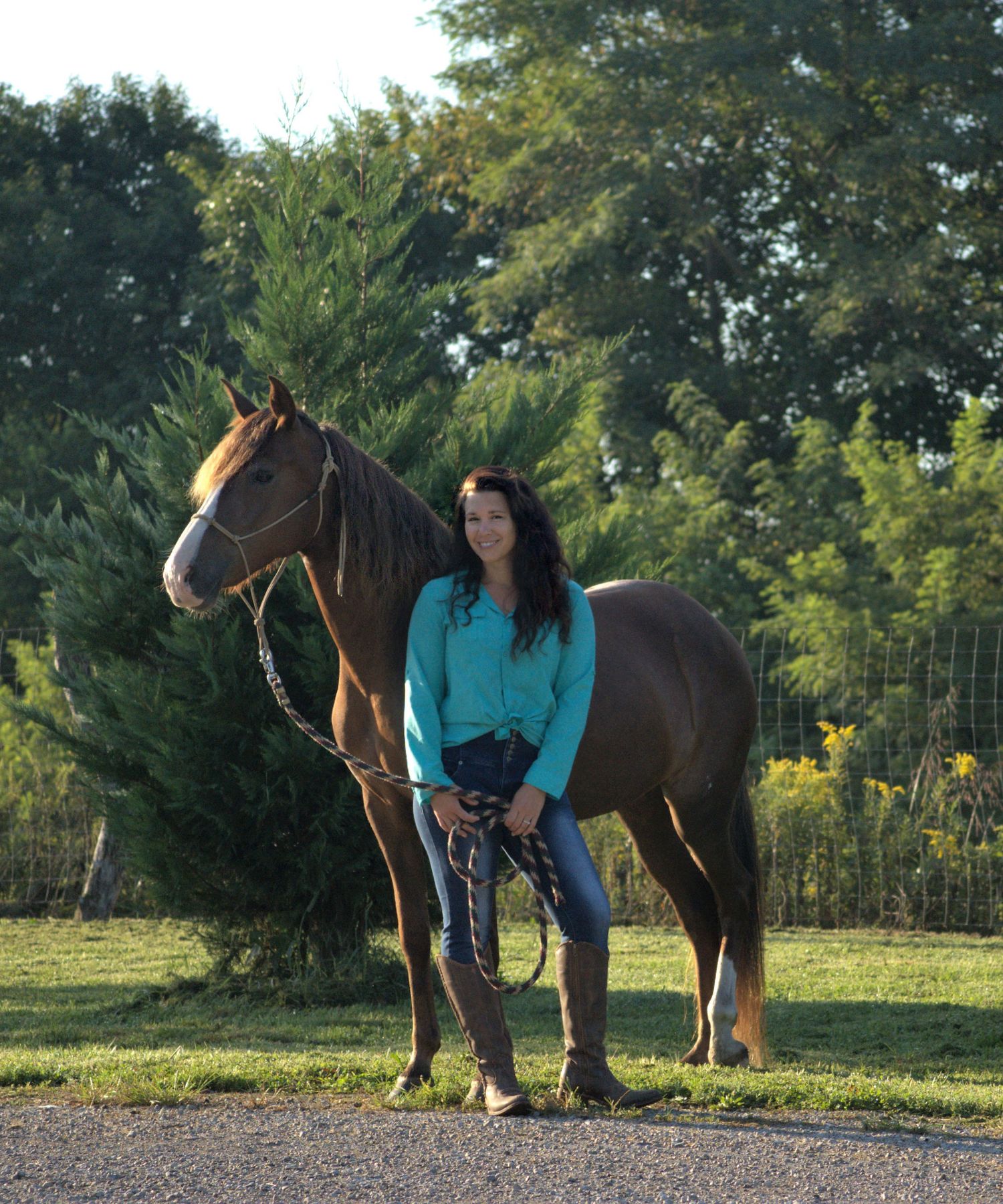 Colt starting, refresher couse, problem solving, sales fitting - Weiss ...