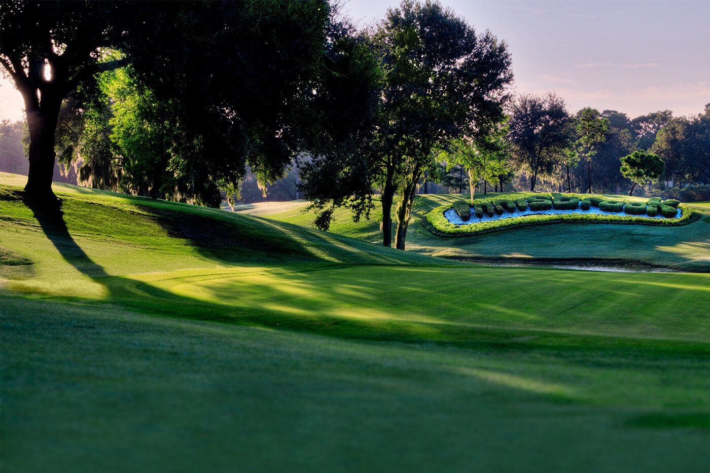 Innisbrook Golf Resort - Brad Hall Studios