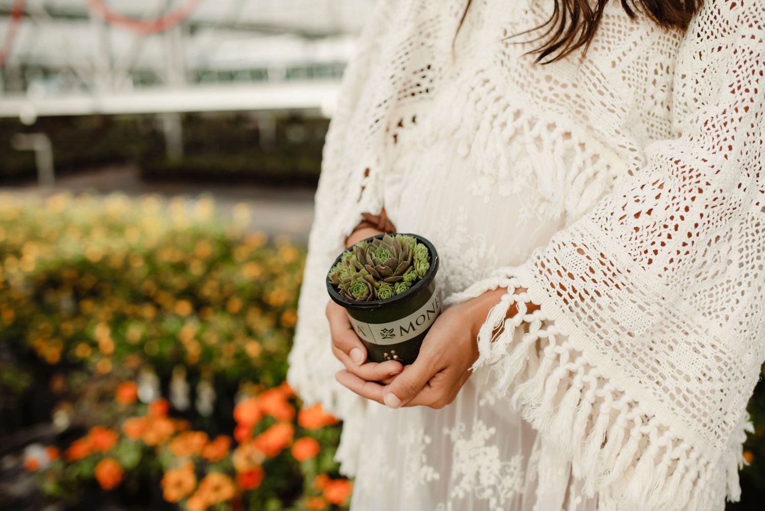 Investment - Christie Ann Photography