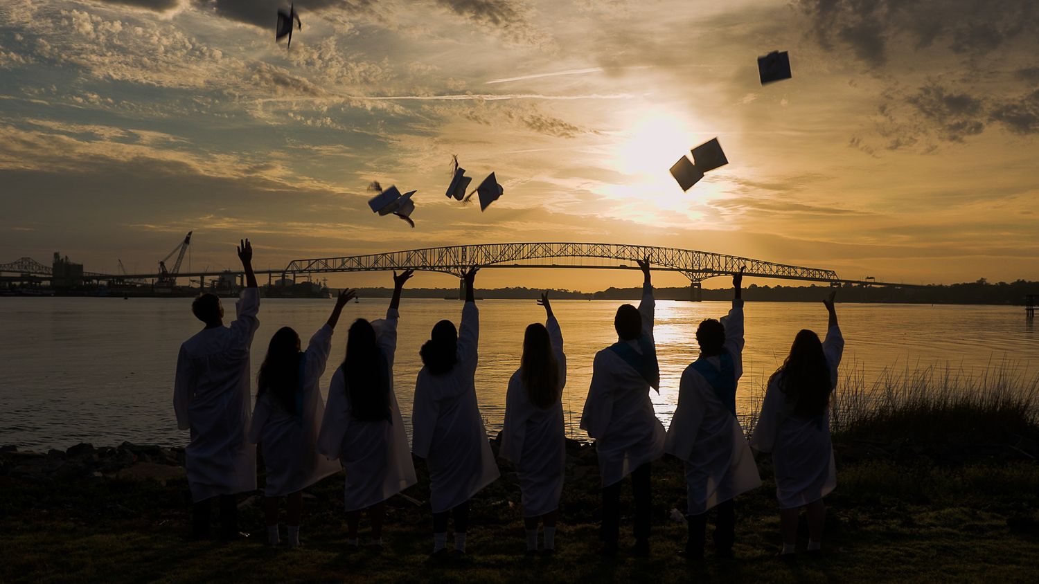 Portfolio - The Beehive Foundry