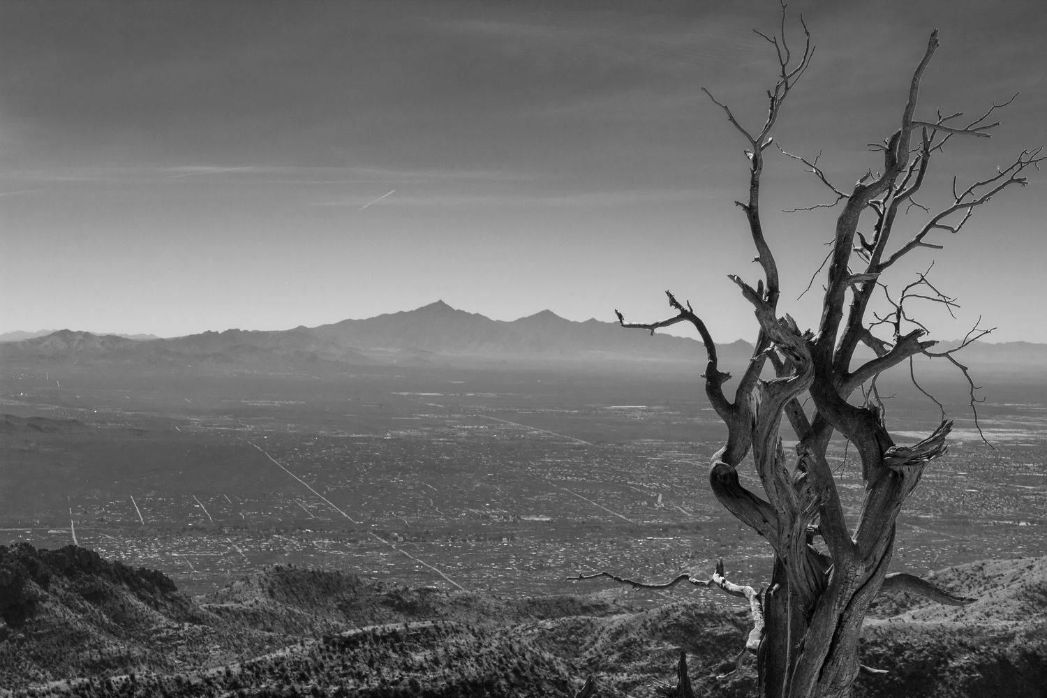 Gallery - Josh Butcher Photography