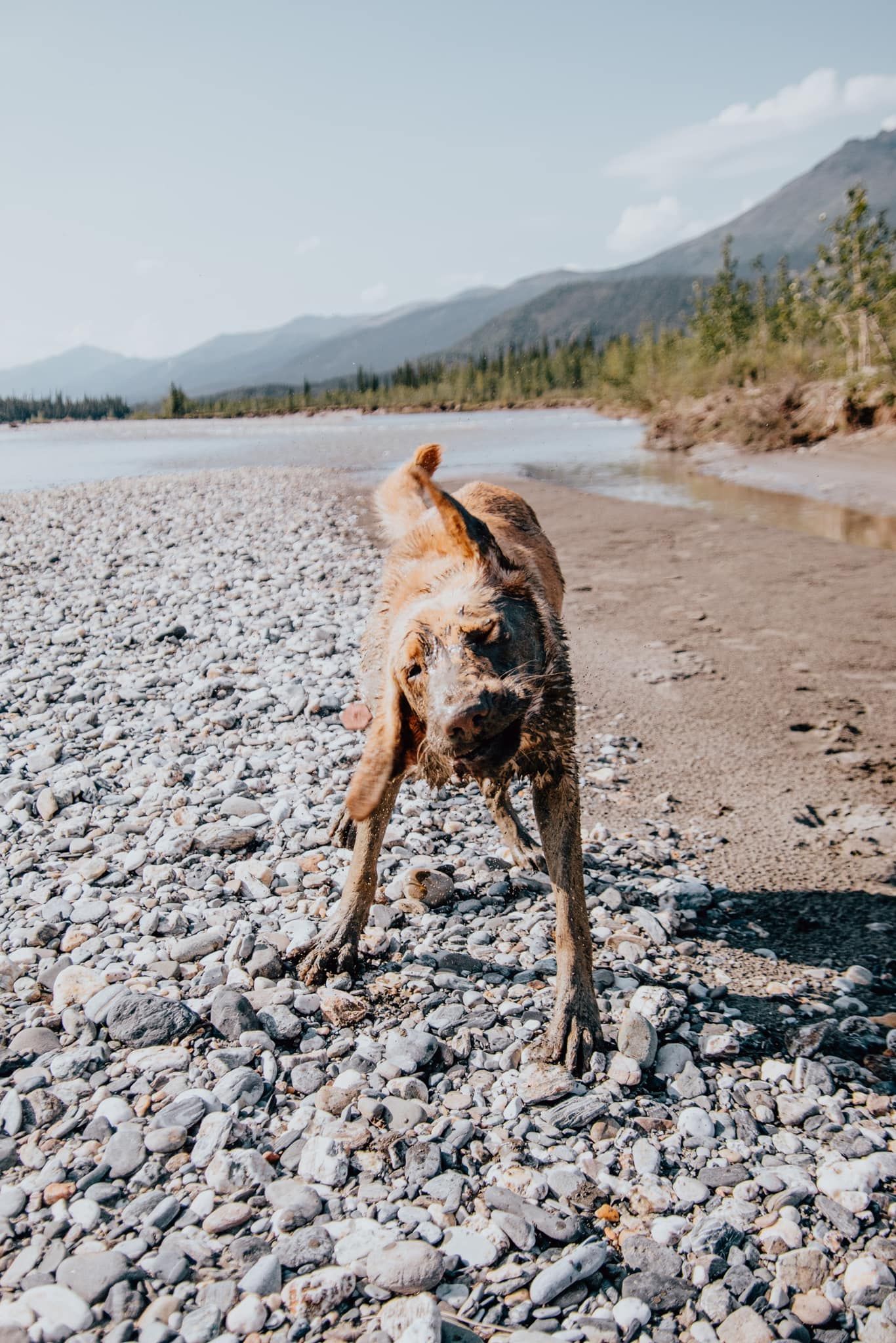 Brooks Range: Adventuring North with My Yellow Girl - Kelly Reynolds ...