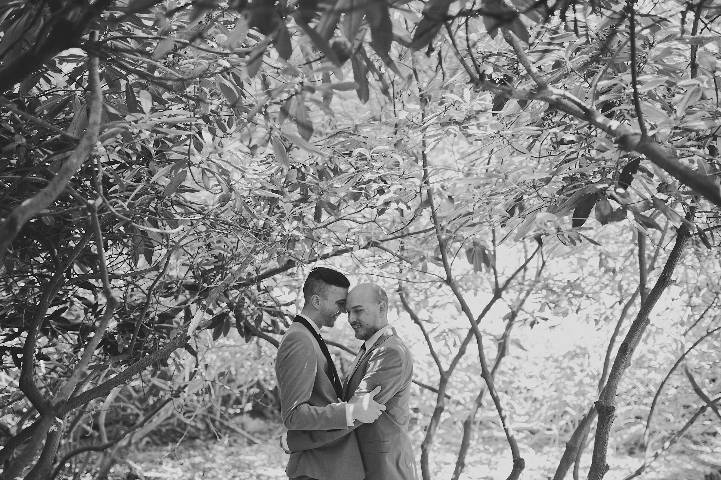 Portfolio - Amy Emily Photography