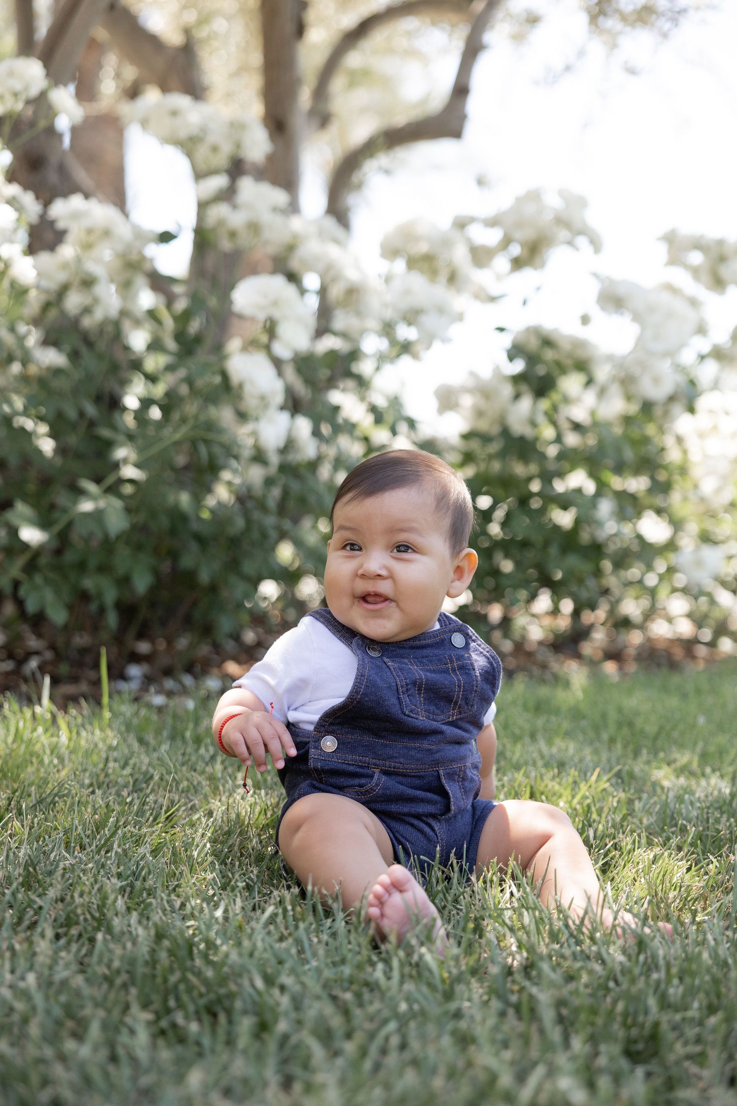 Nicole Serna Photography