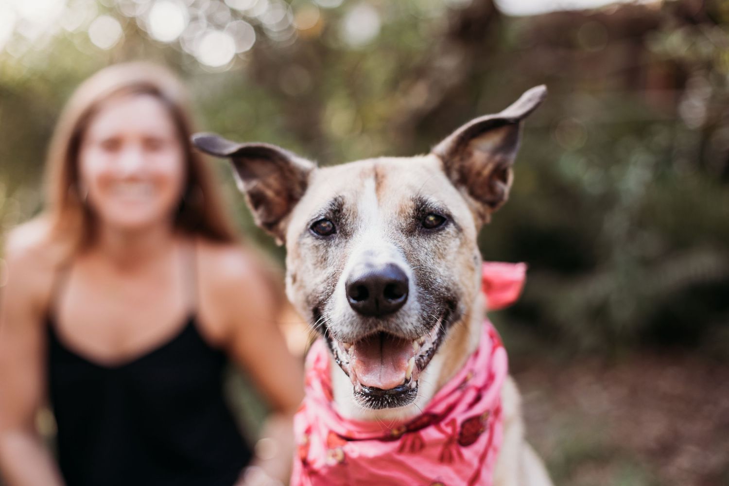 Contact - Macie Jones Photography