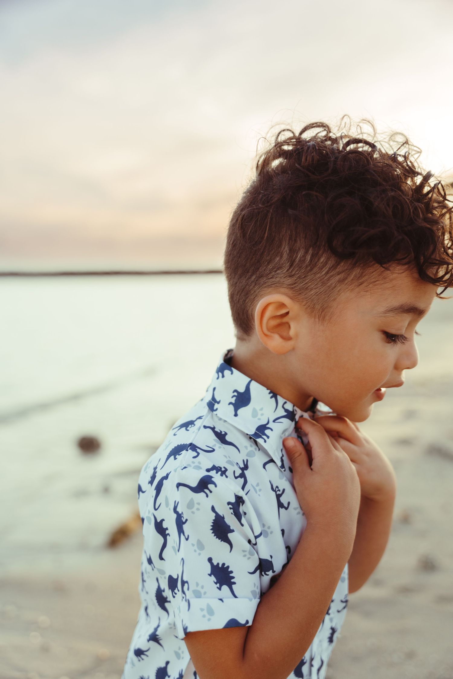 Contact - BP Photography