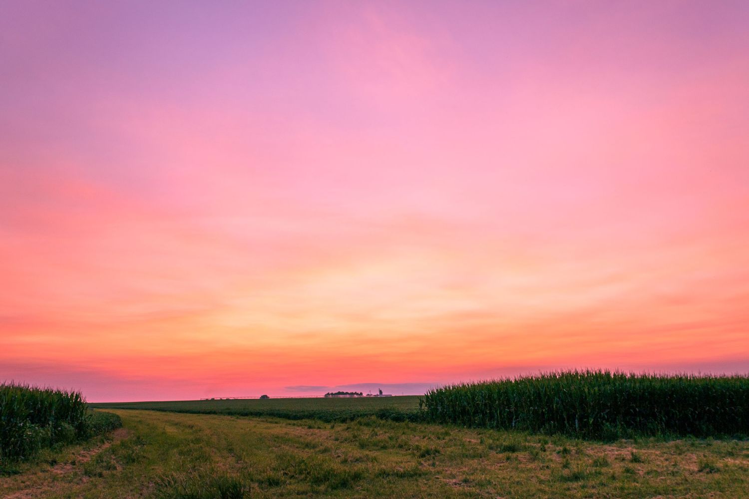 Portfolio - LM Photography