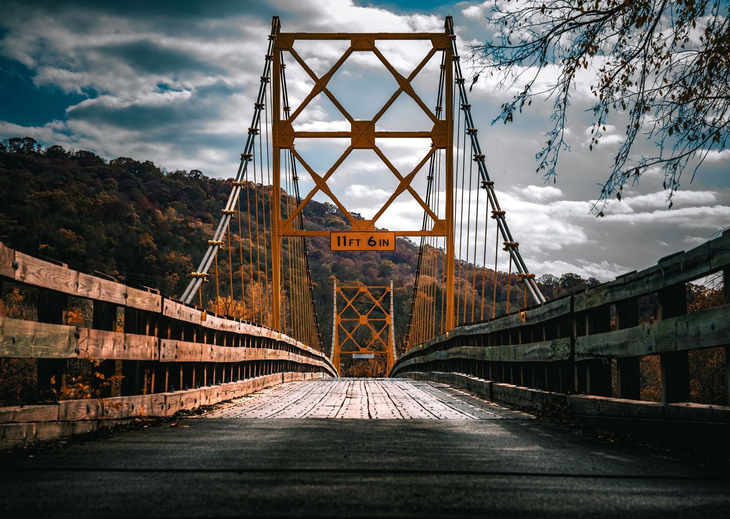 Stewart Kay Photography