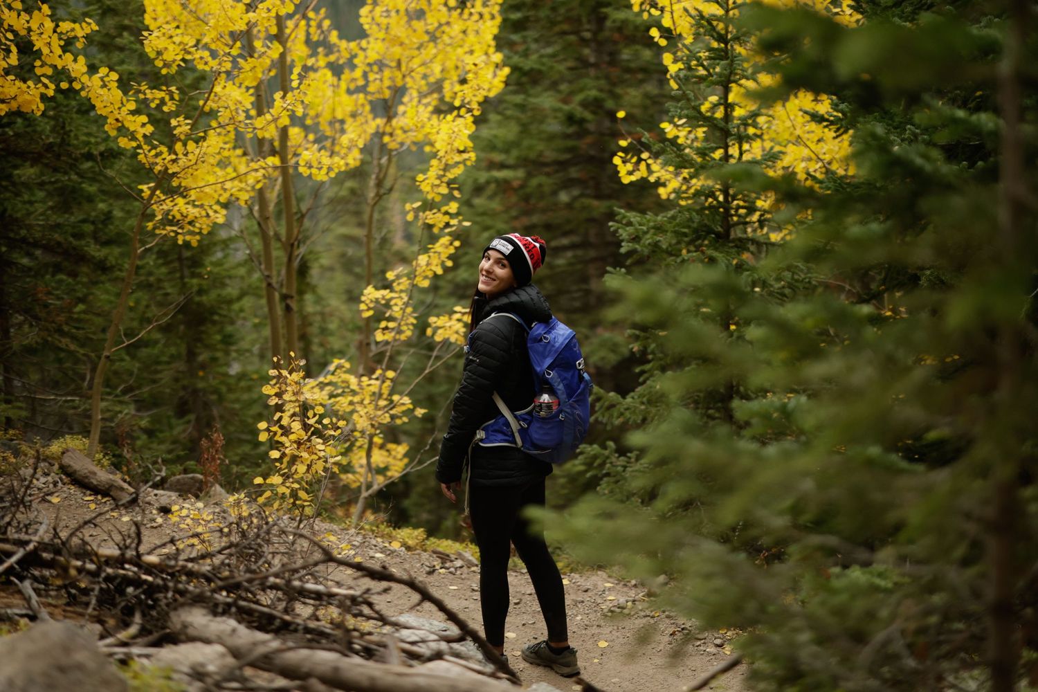 About - Motion Captured Media