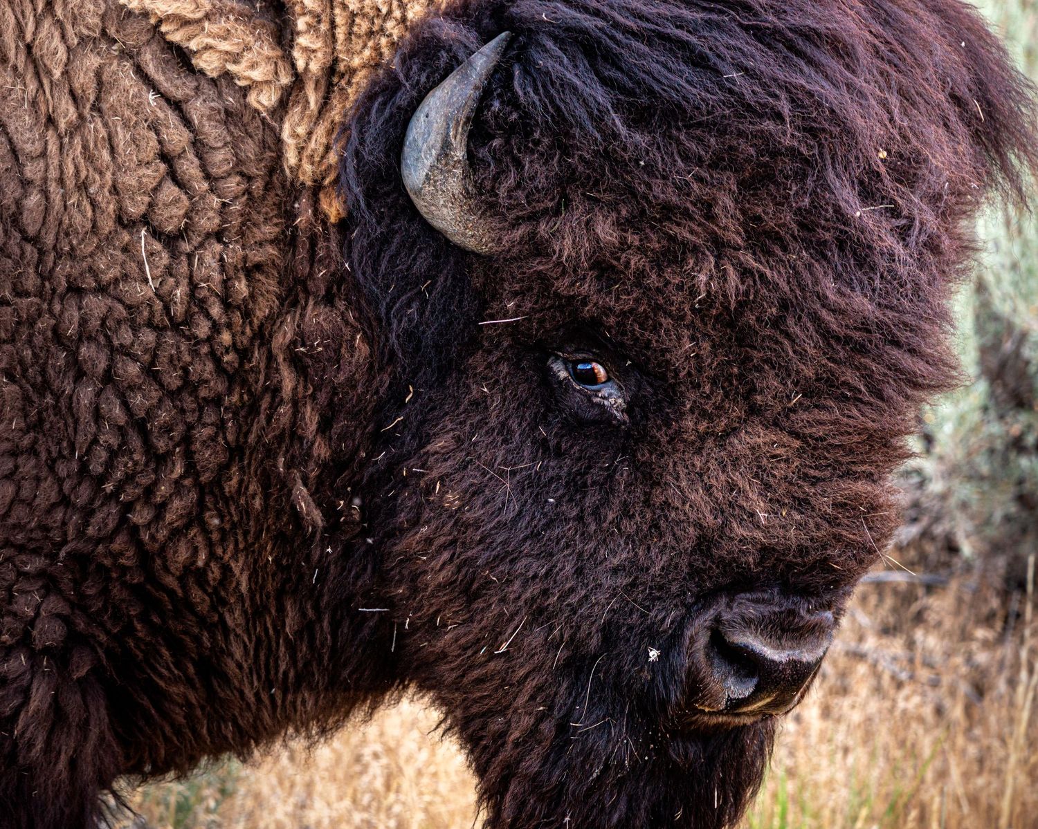 Marcus Adam Photography