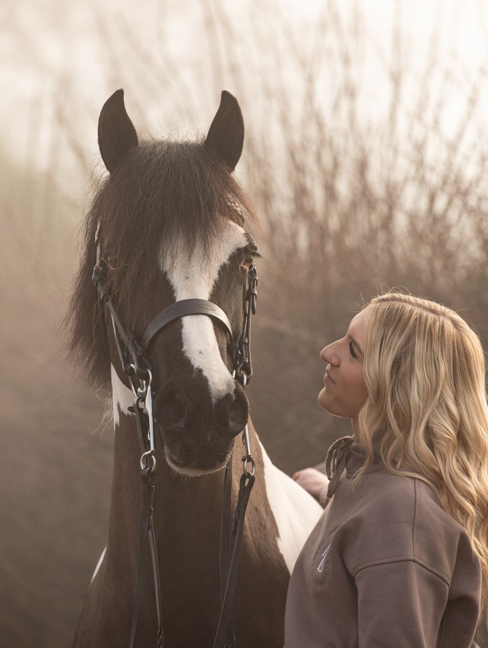 Megan, Boris & Fran - Imogen Moon ABIPP - Equine & Dog Photographer In ...
