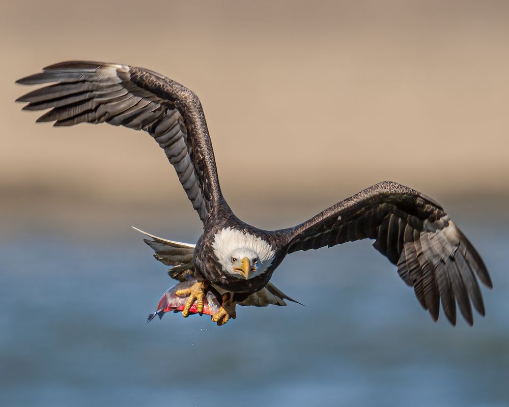 Jim Gregio photography