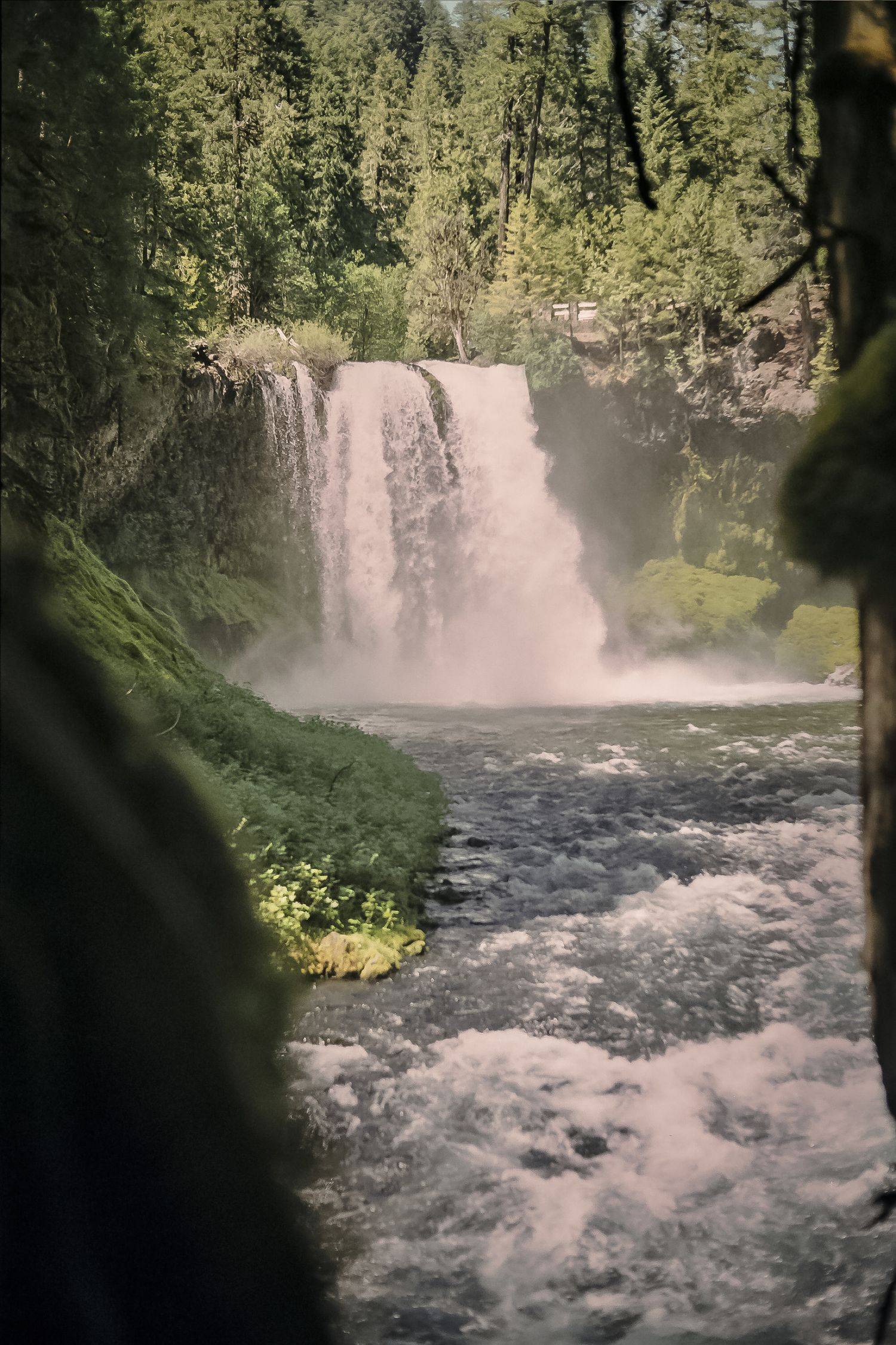 OUTDOOR DOCUMENTATION - marramariephotography