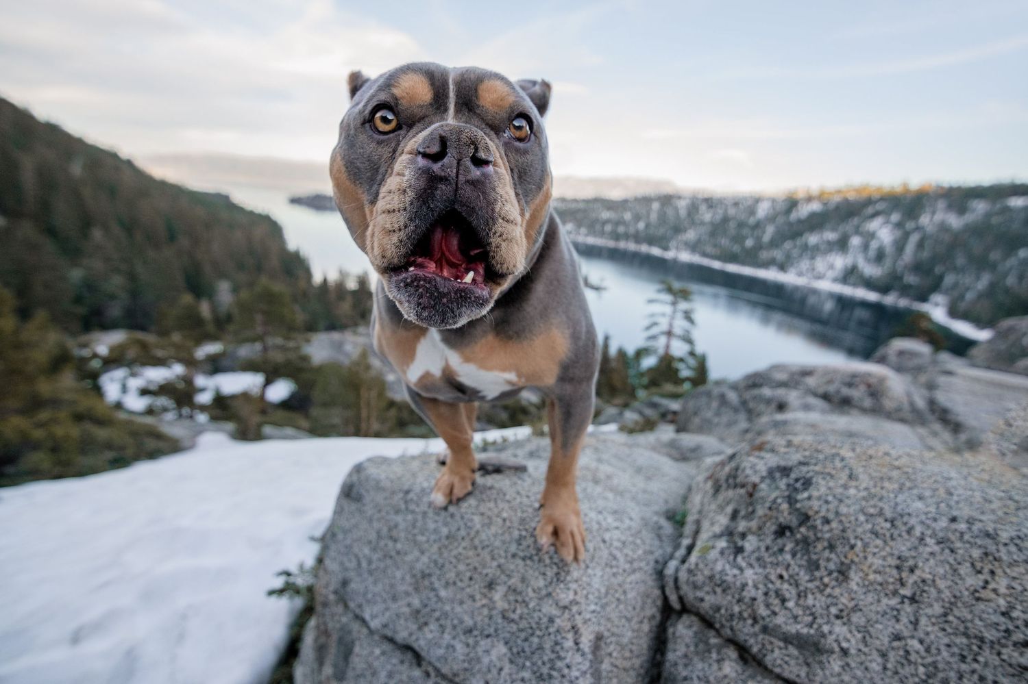 Casual - Ryan Ritter Photography